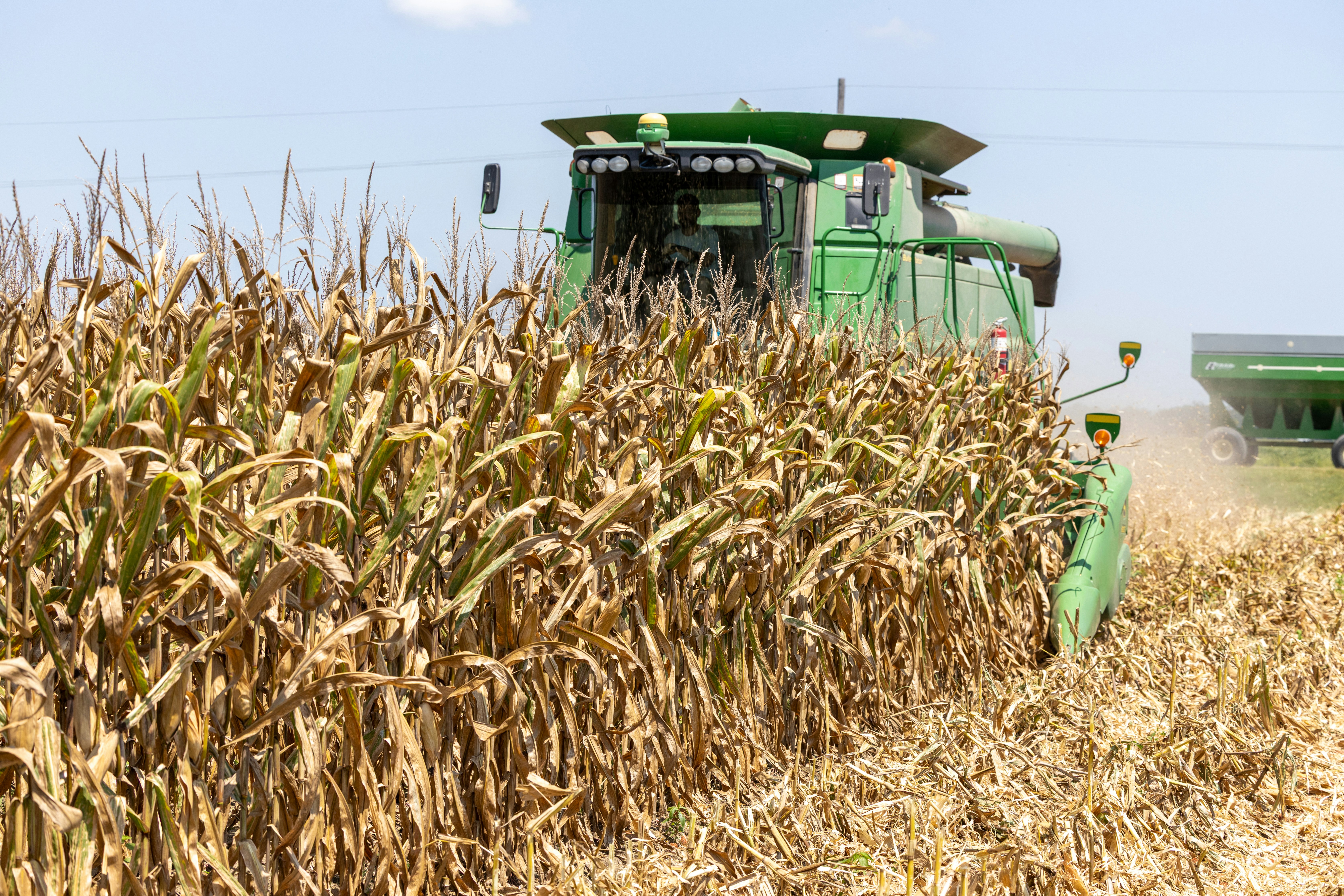 Harvest Drive: A Green Combine Cleanses the Field