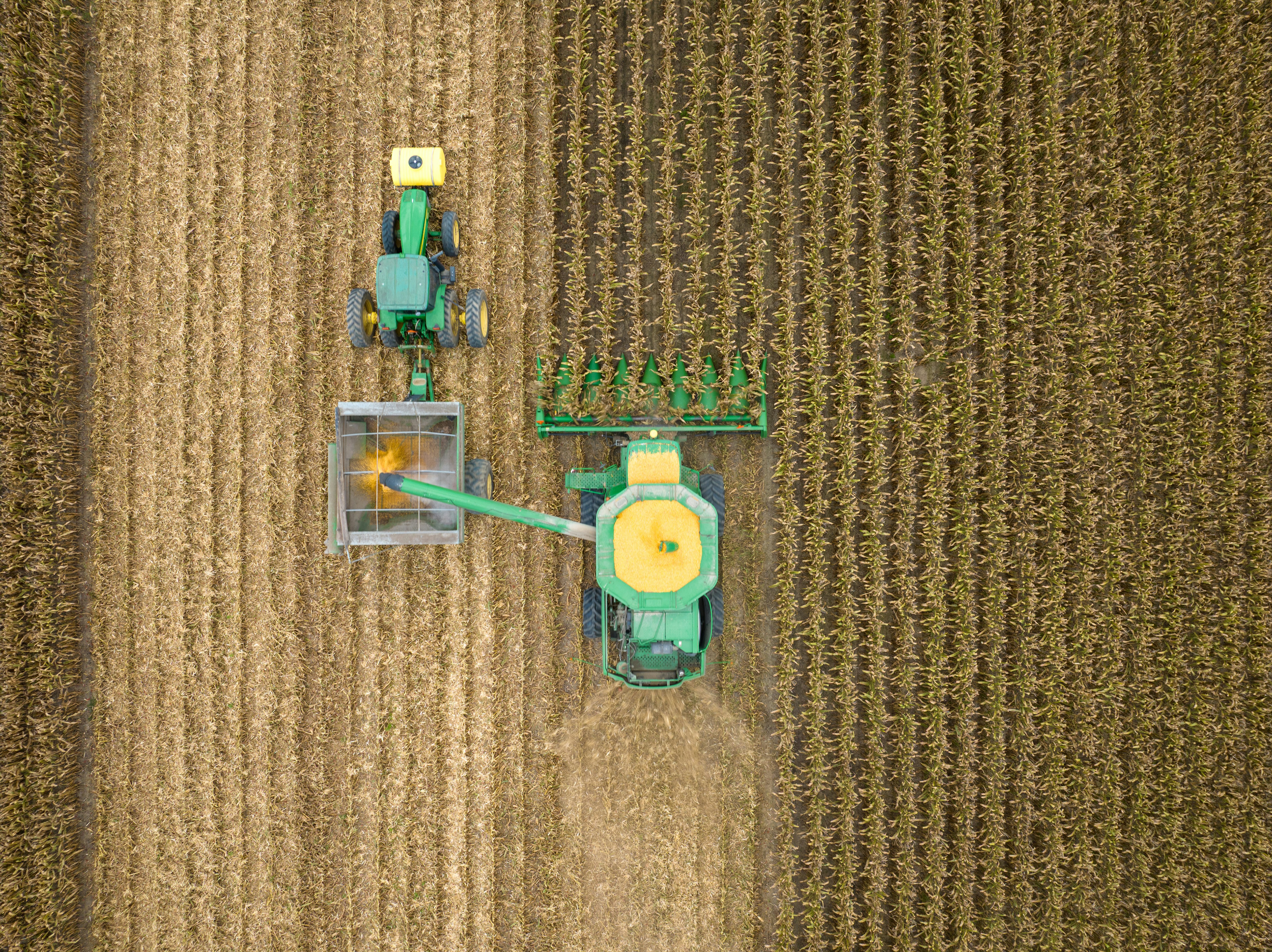 Harvesting Horizon: Aerial Lineup of a Field-Work Duo