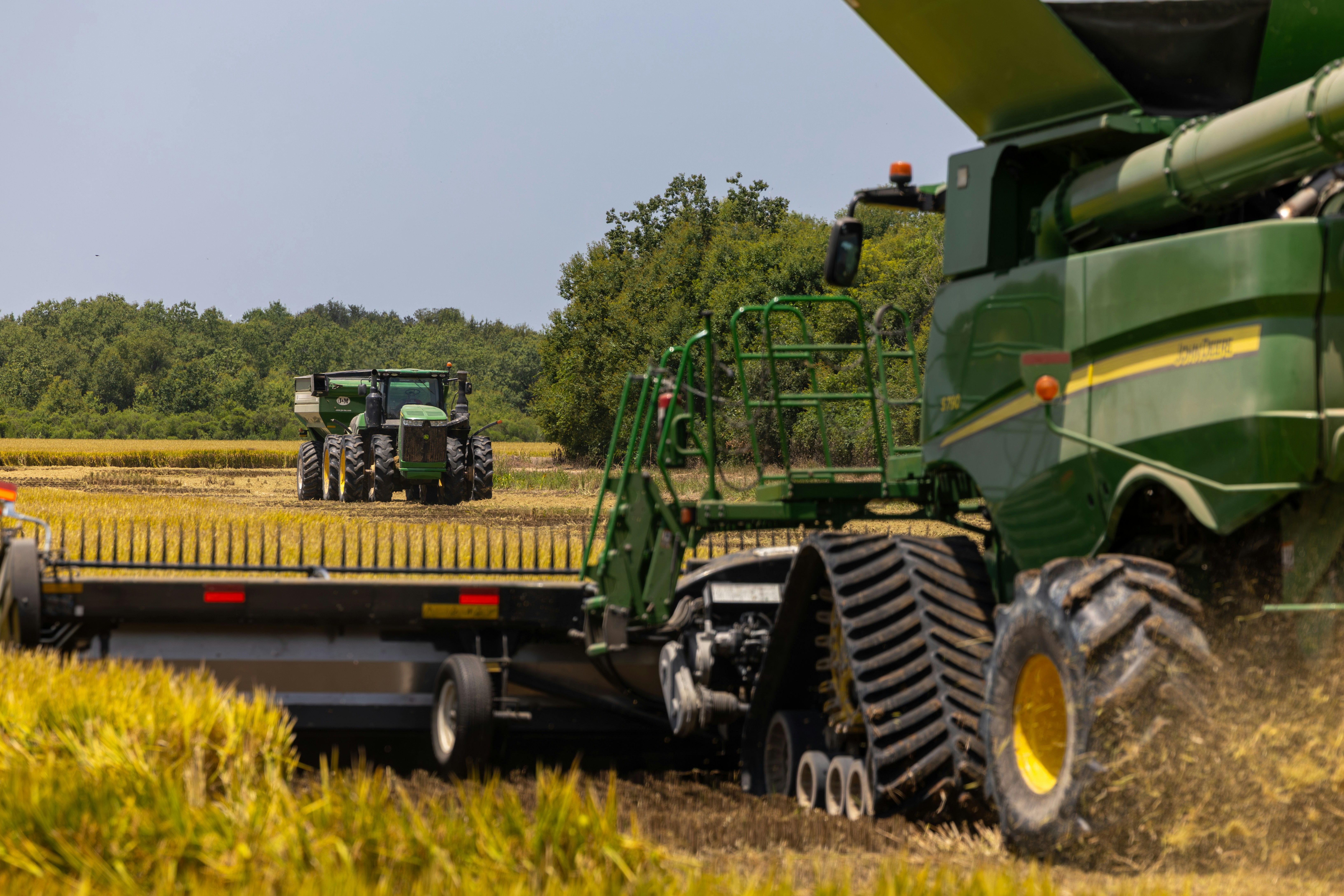 Harvest Gear: A Green Giant at the Edge of the Field