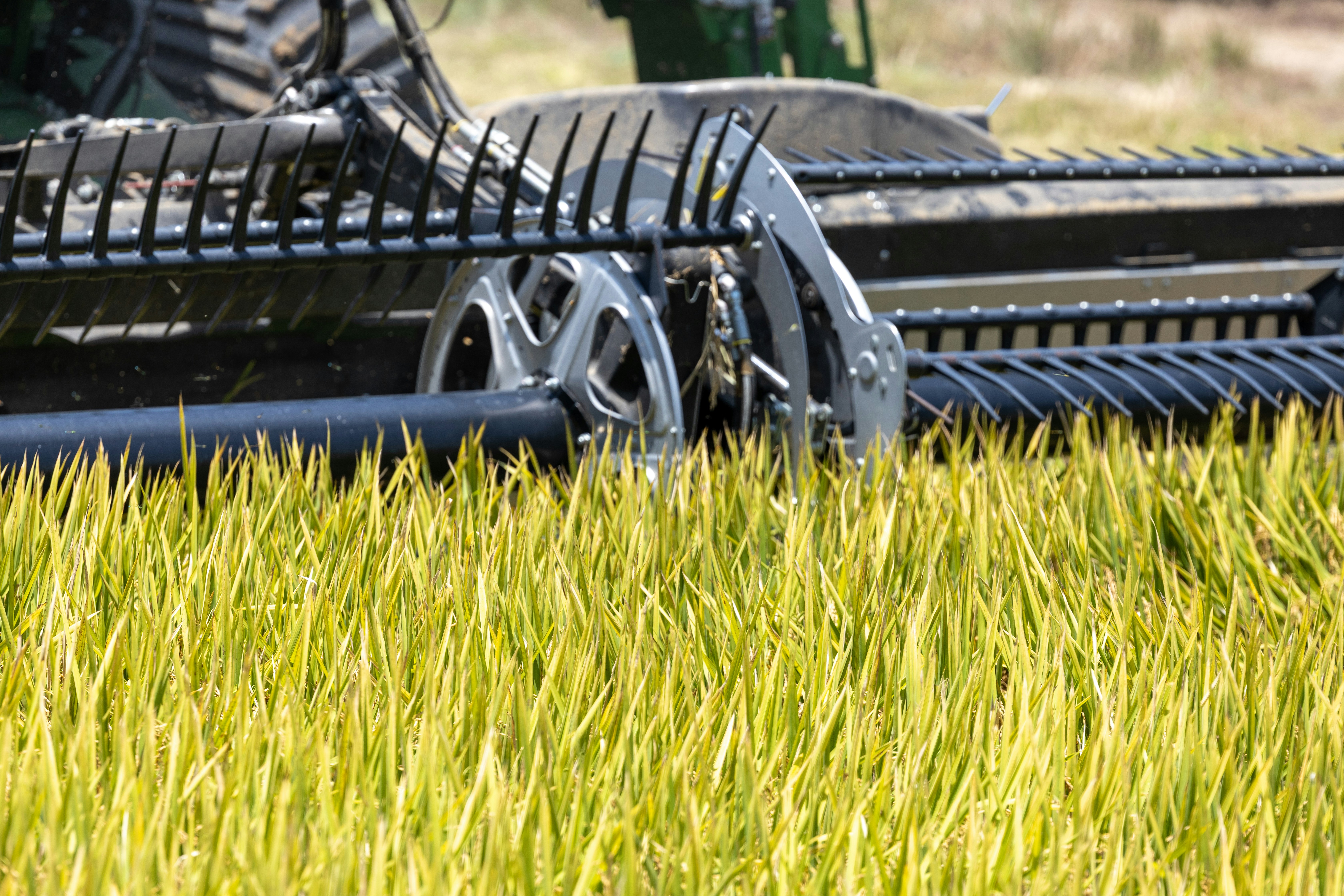 Golden Harvest Machinery in a Field Row