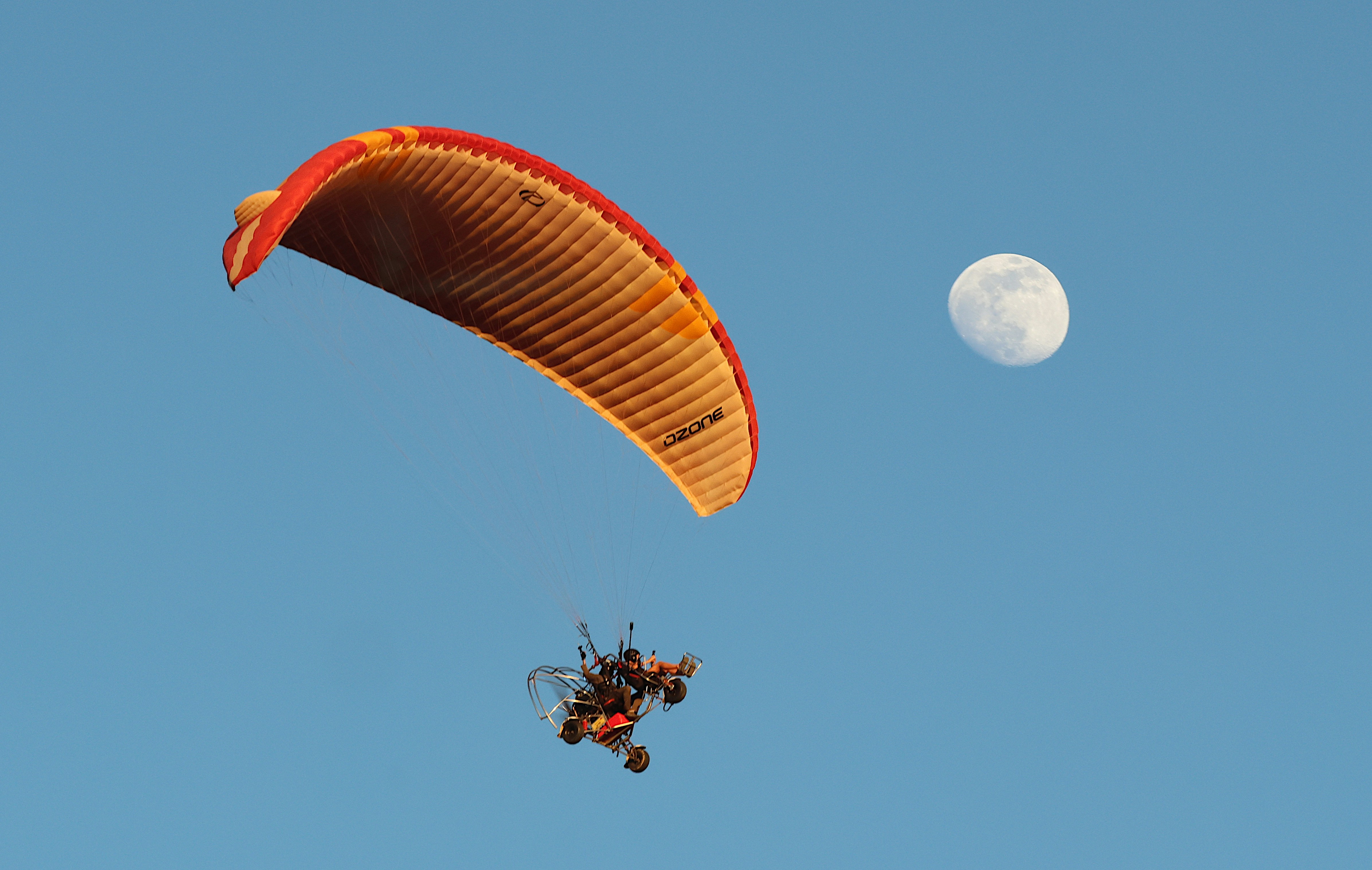 Soaring Duo: Paraglider and Moonlit Sky