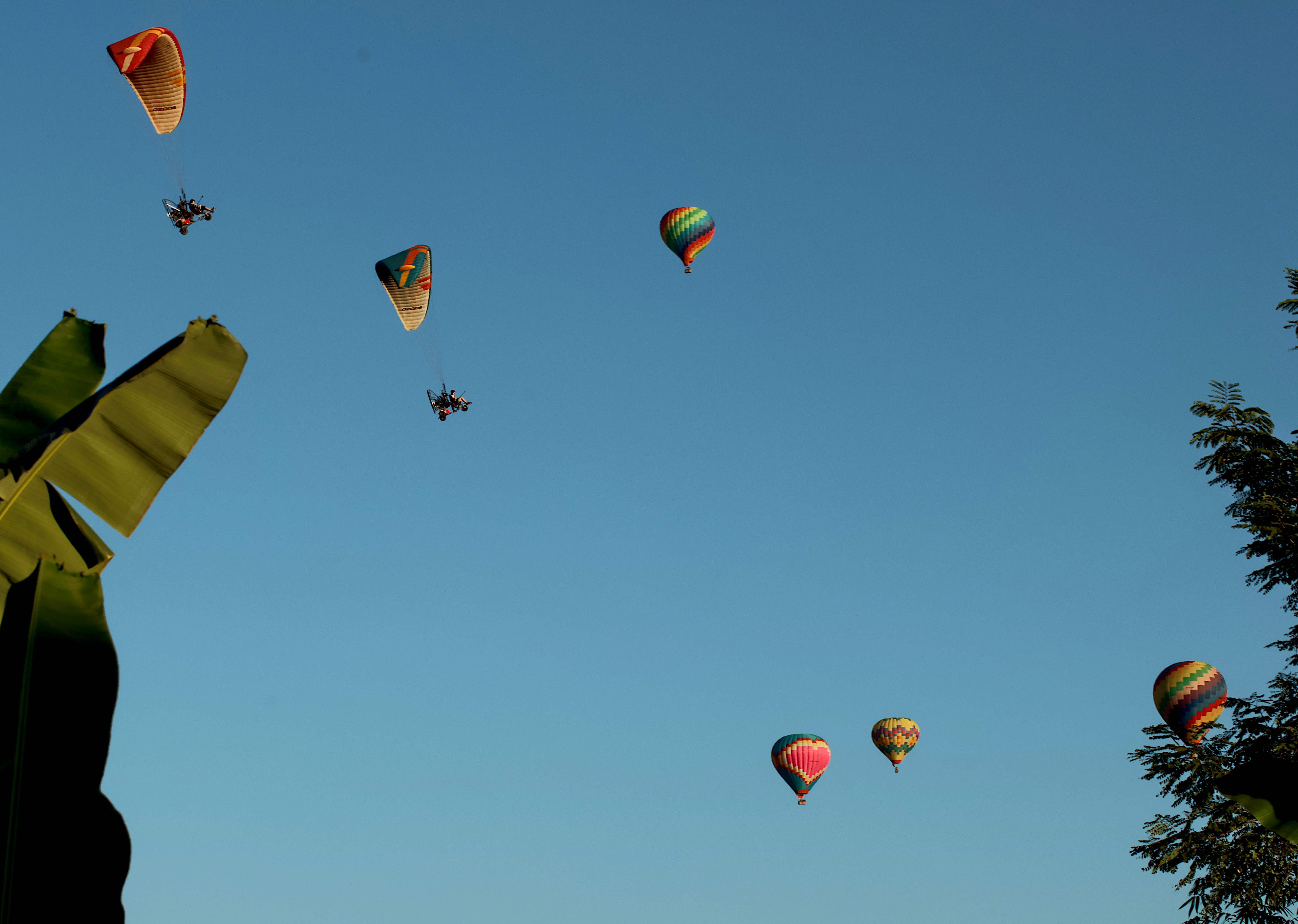 Skyward Dancers: A Cluster of Paraglider Balloons Drifting Under a Clear Day