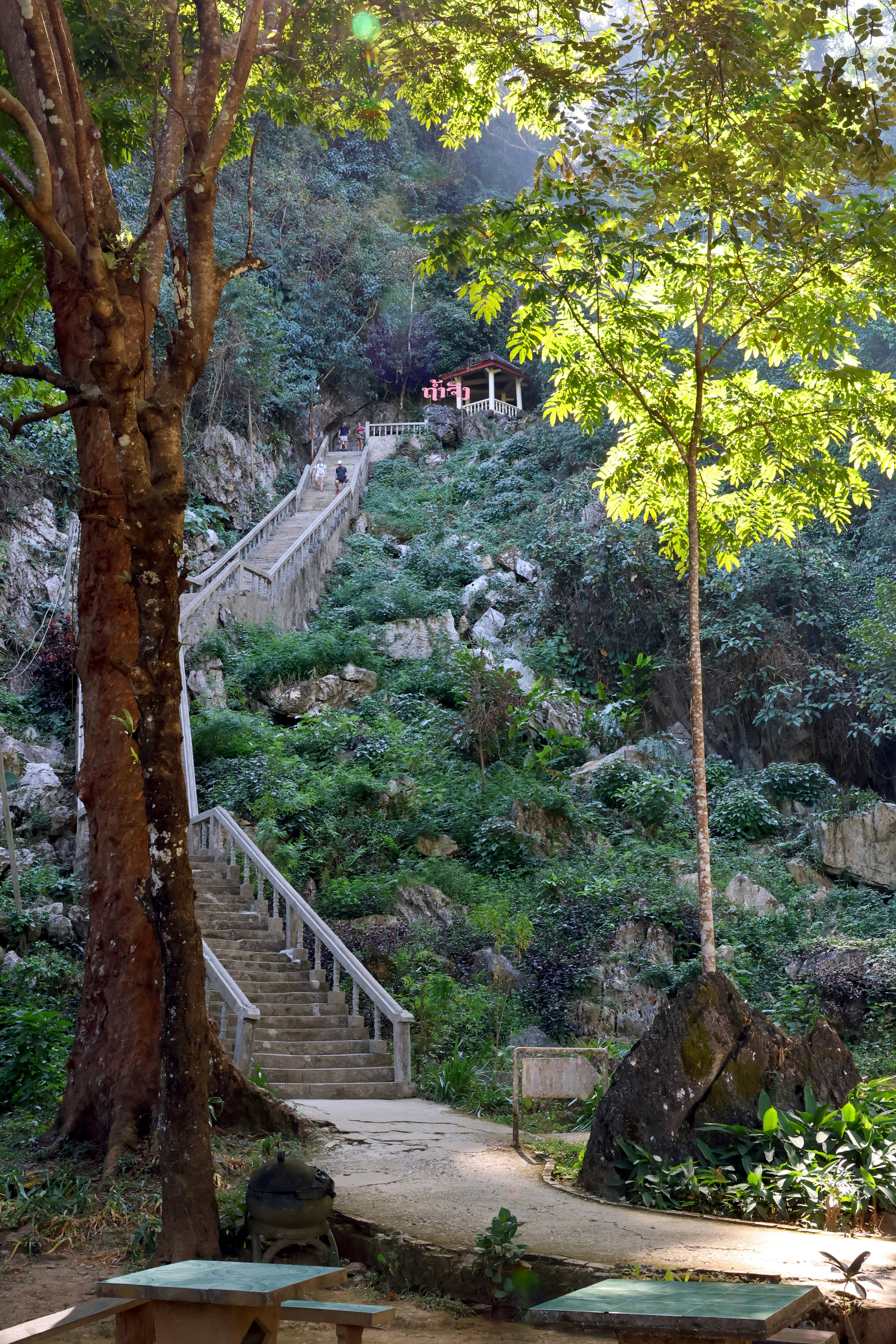 Sunlit Staircase Through a Verdant Canyon