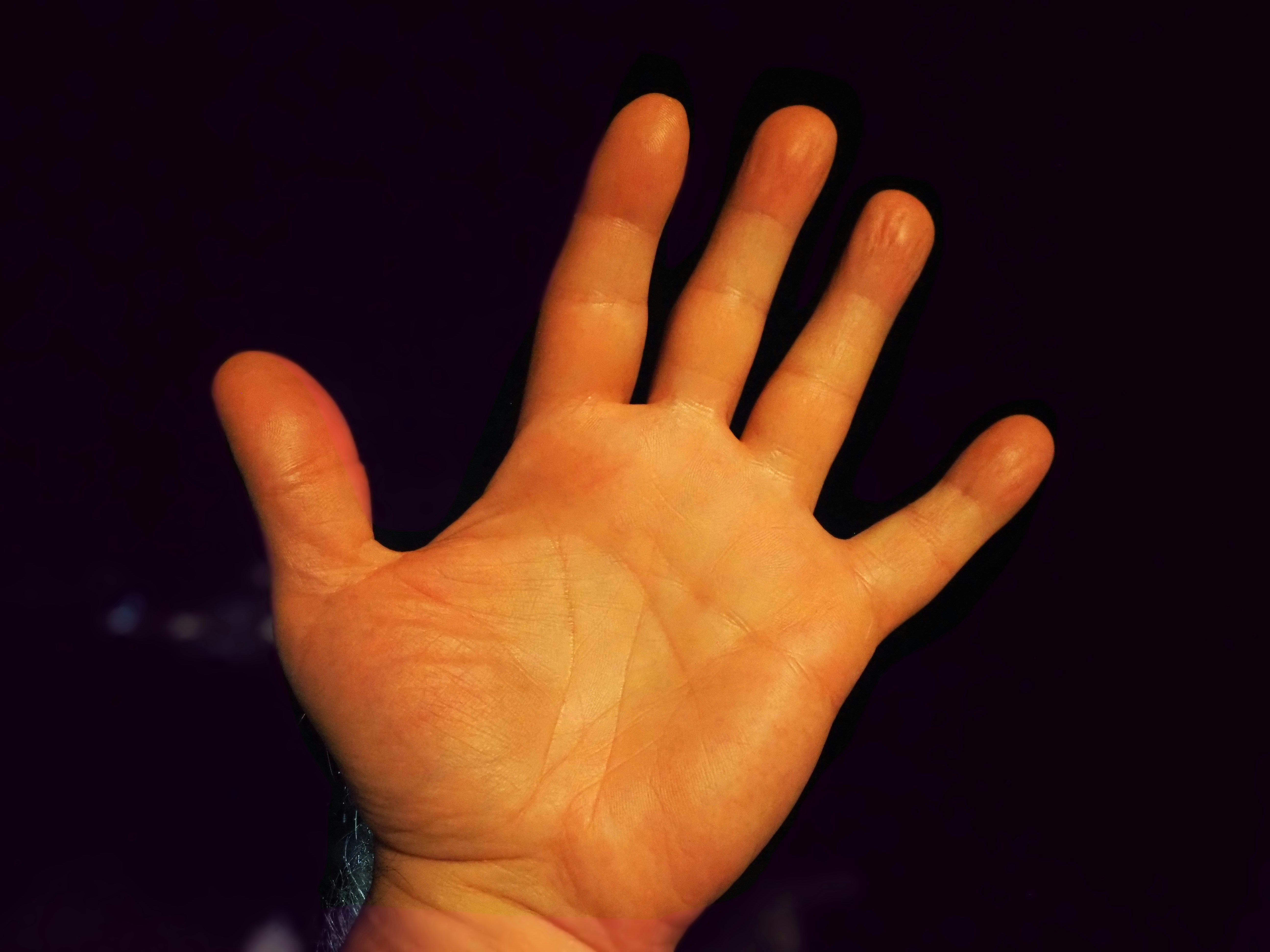Openhand in the Dark: A Portrait of Palm Lines and Soft Light