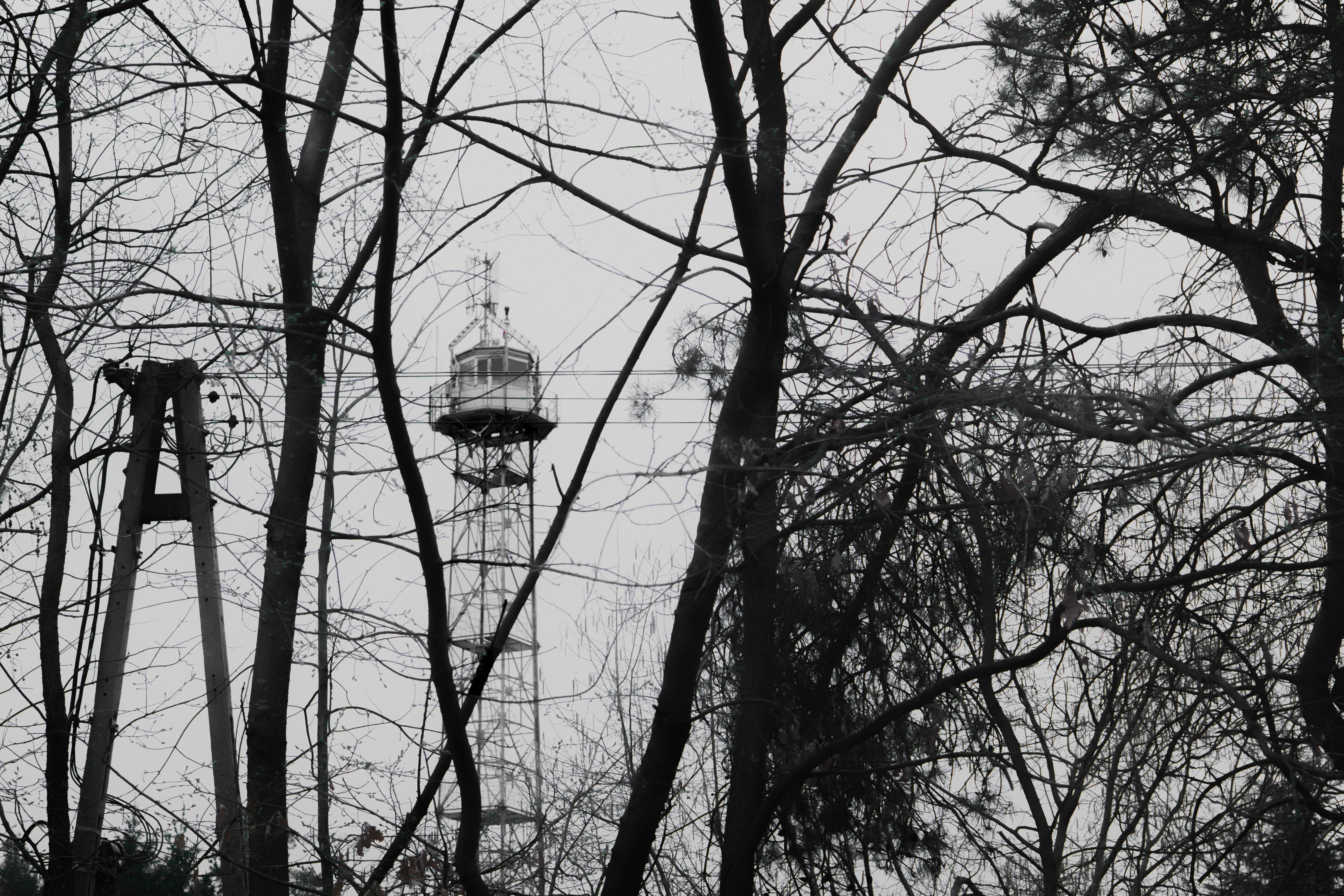 Monochrome scene of a lighthouse framed by bare trees, with a calm, wintry atmosphere and a distant tower peeking through branches.