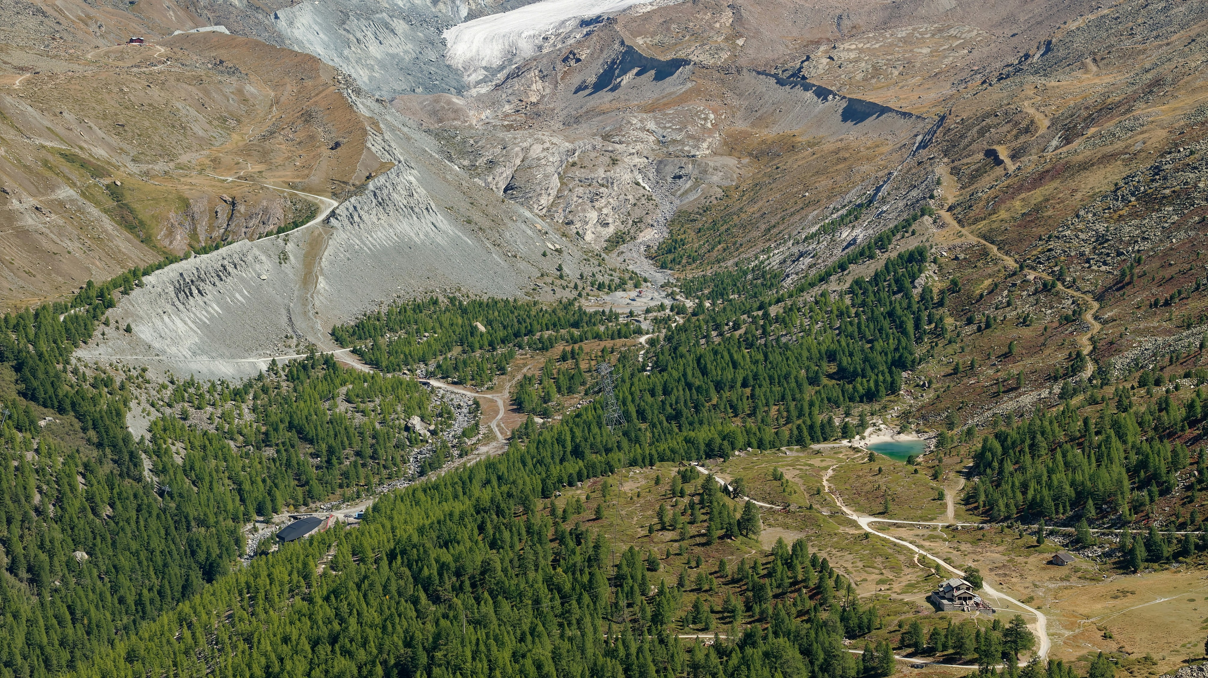 Verdant alpine valley seen from above, winding dirt path flanked by scattered pines and rugged scree slopes; a tranquil, high-country landscape.