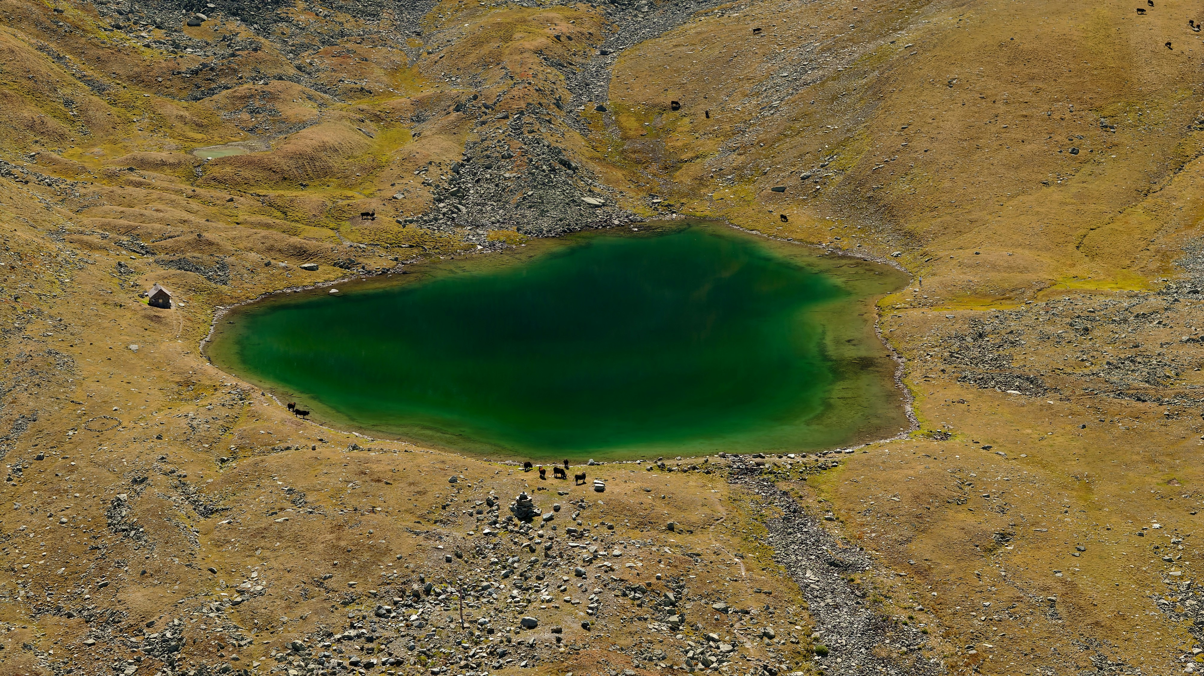 Emerald Crater: A Quiet Alpine Pool Surrounded by Weathered Tundra