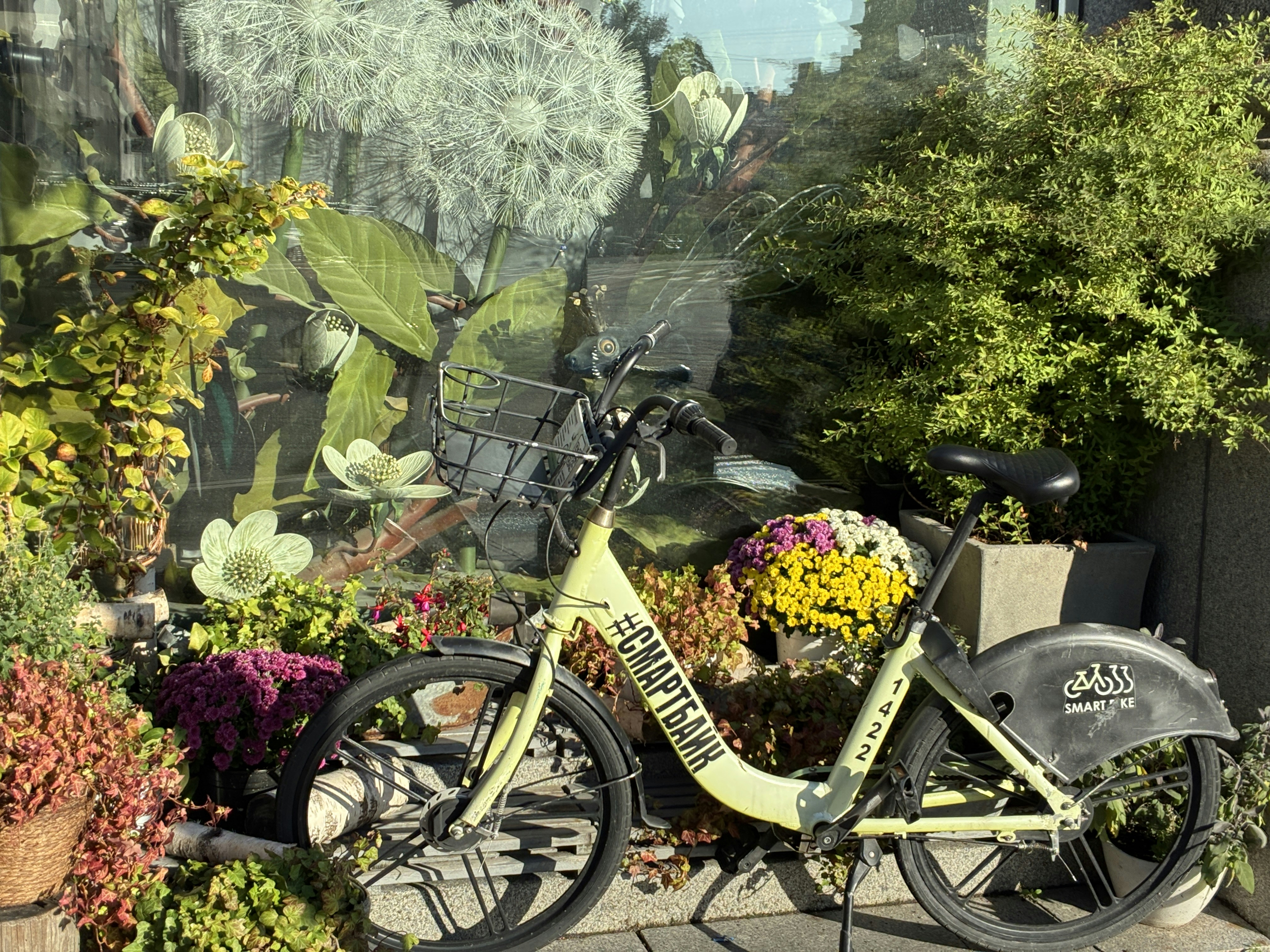 Pastel Citron Bicycle Resting Among Spring Blooms