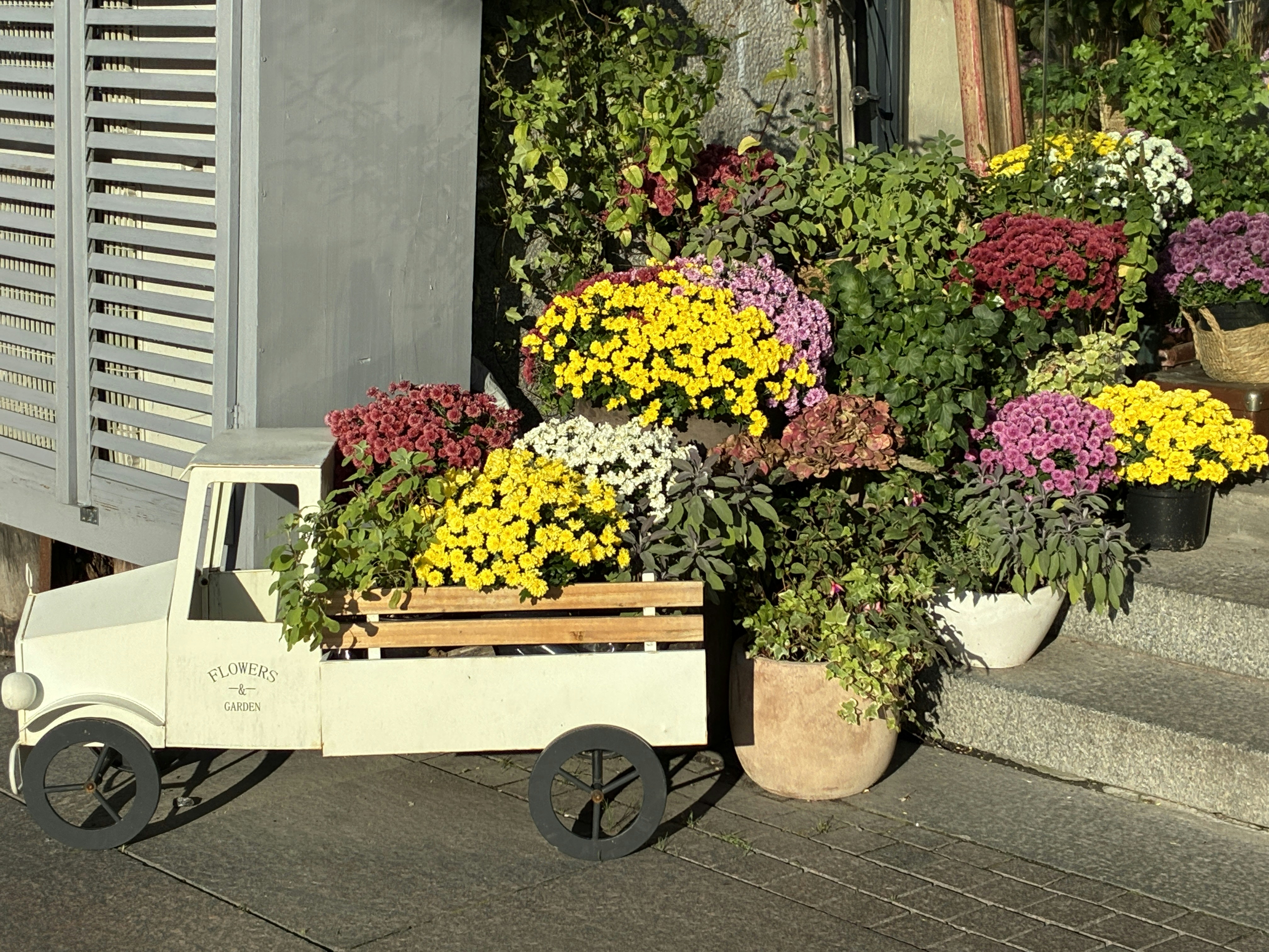 Colorful potted chrysanthemums spill from a white vintage cart beside a building, forming a bright market display on a sunlit street.