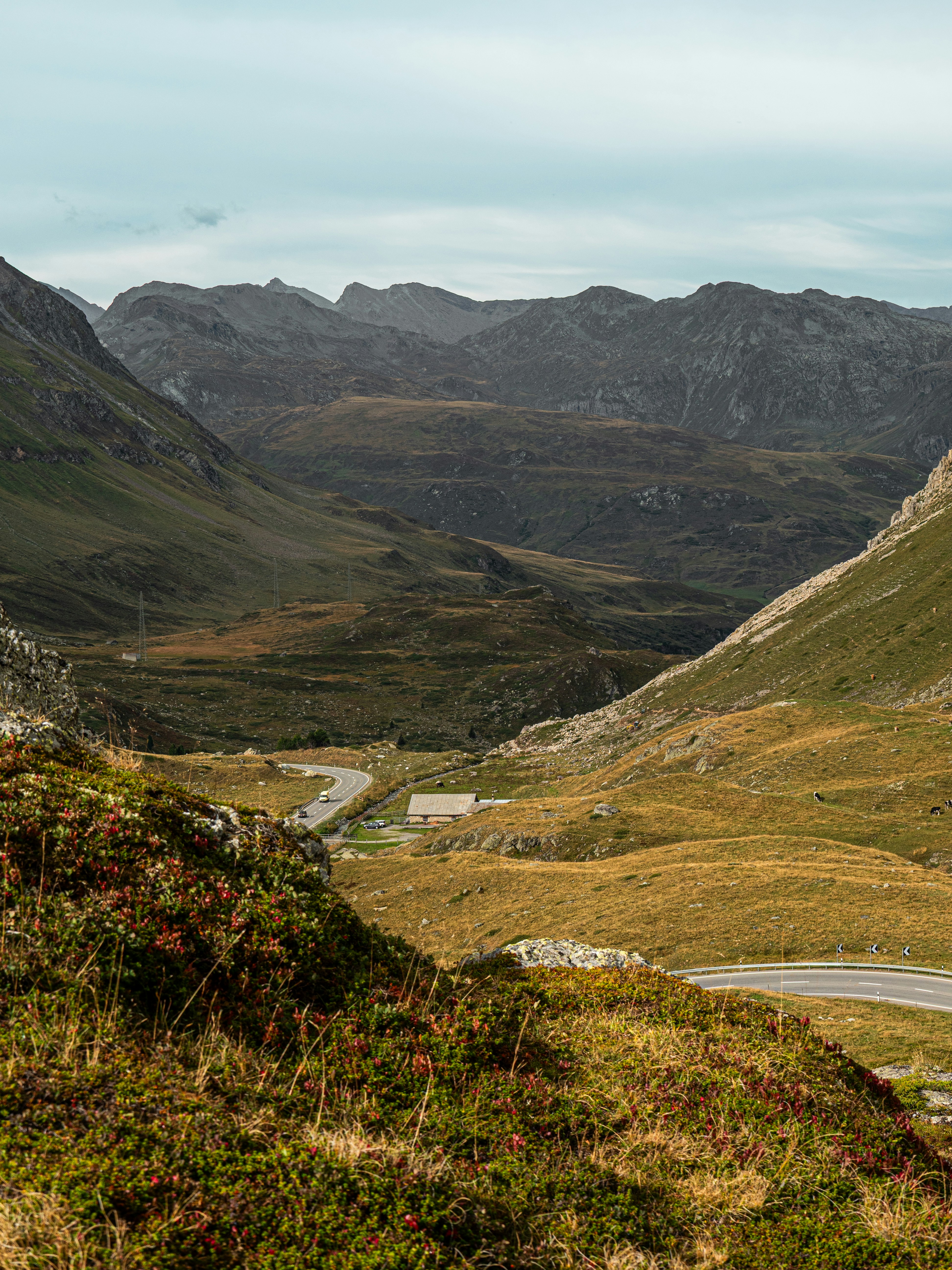 Winding mountain pass veiled in autumn light
