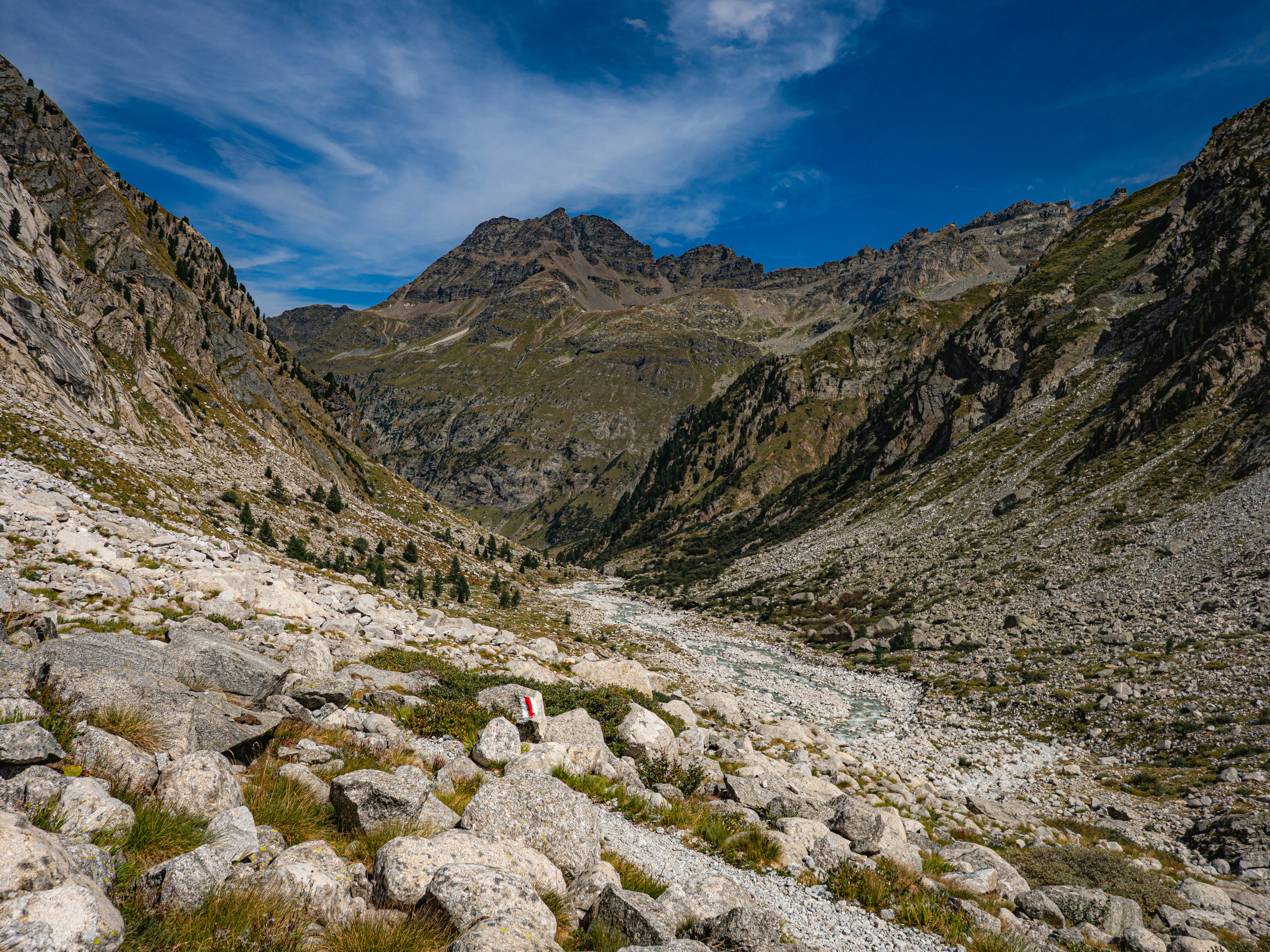 Stony Pass Vale: Alpine Corridor Beneath a Wide Blue