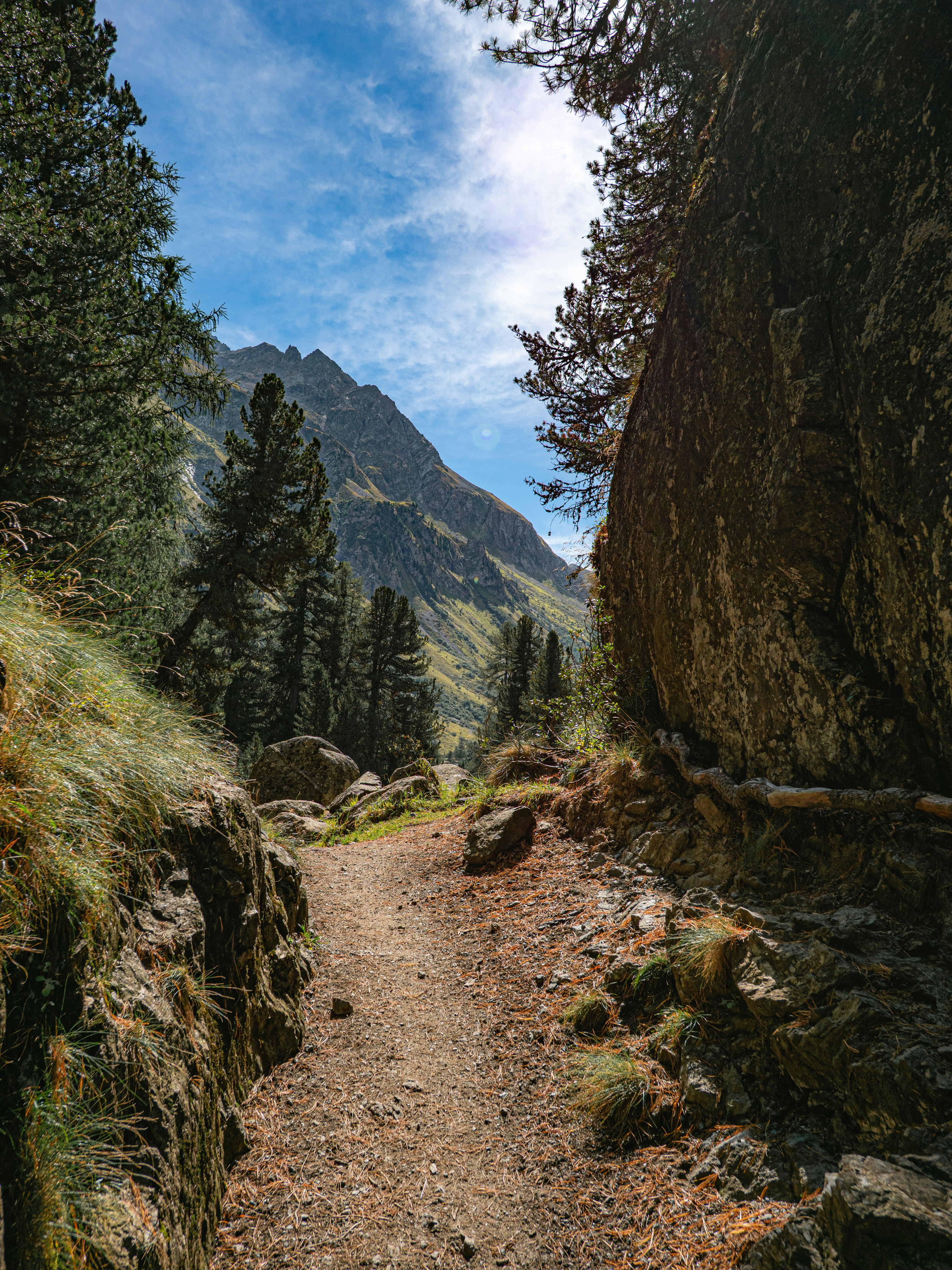 Trail through a Sunlit Alpine Corridor