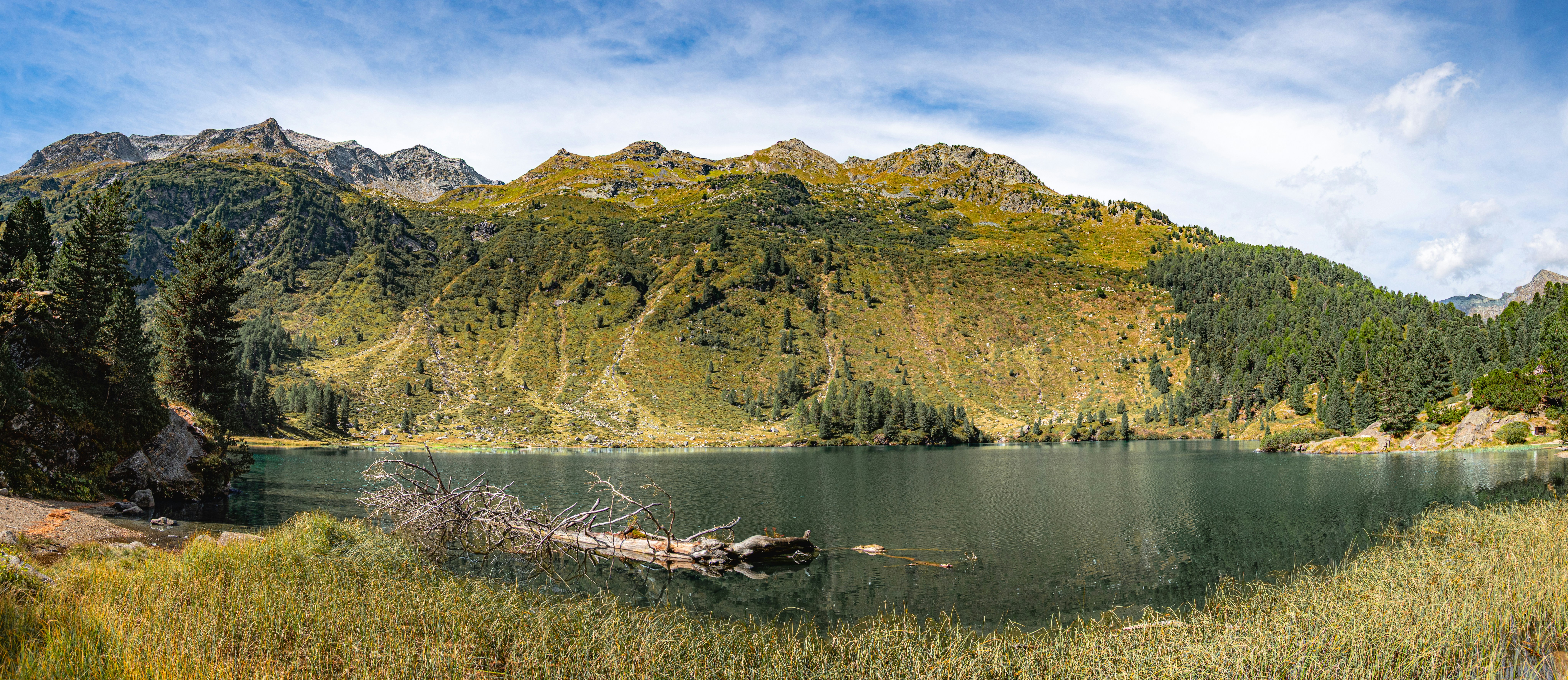 Glacial Lake Panorama: Peaks, Pines, and Reflective Waters