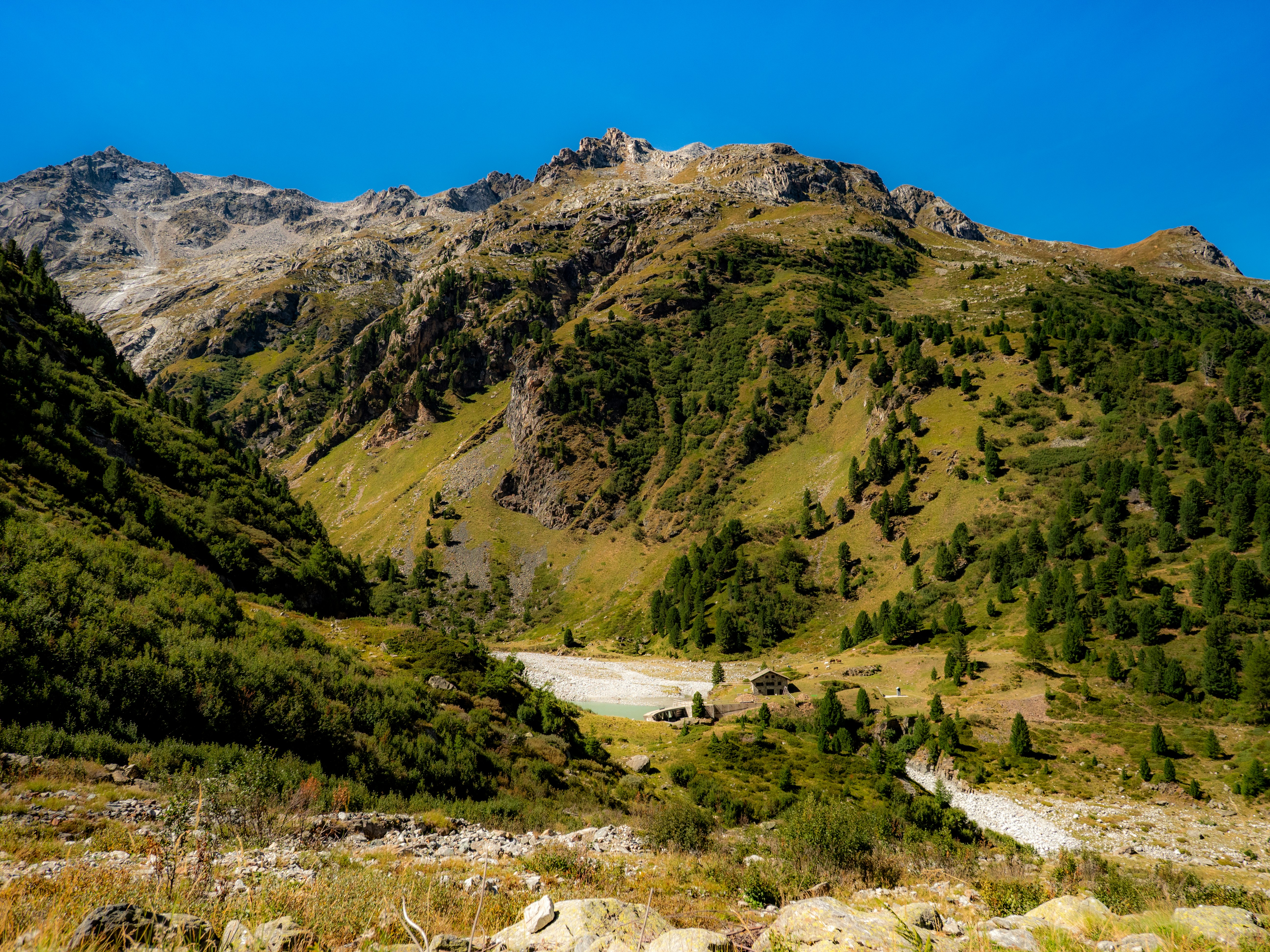 Ridge Quiet: Alpine Path Winding Toward the Crest