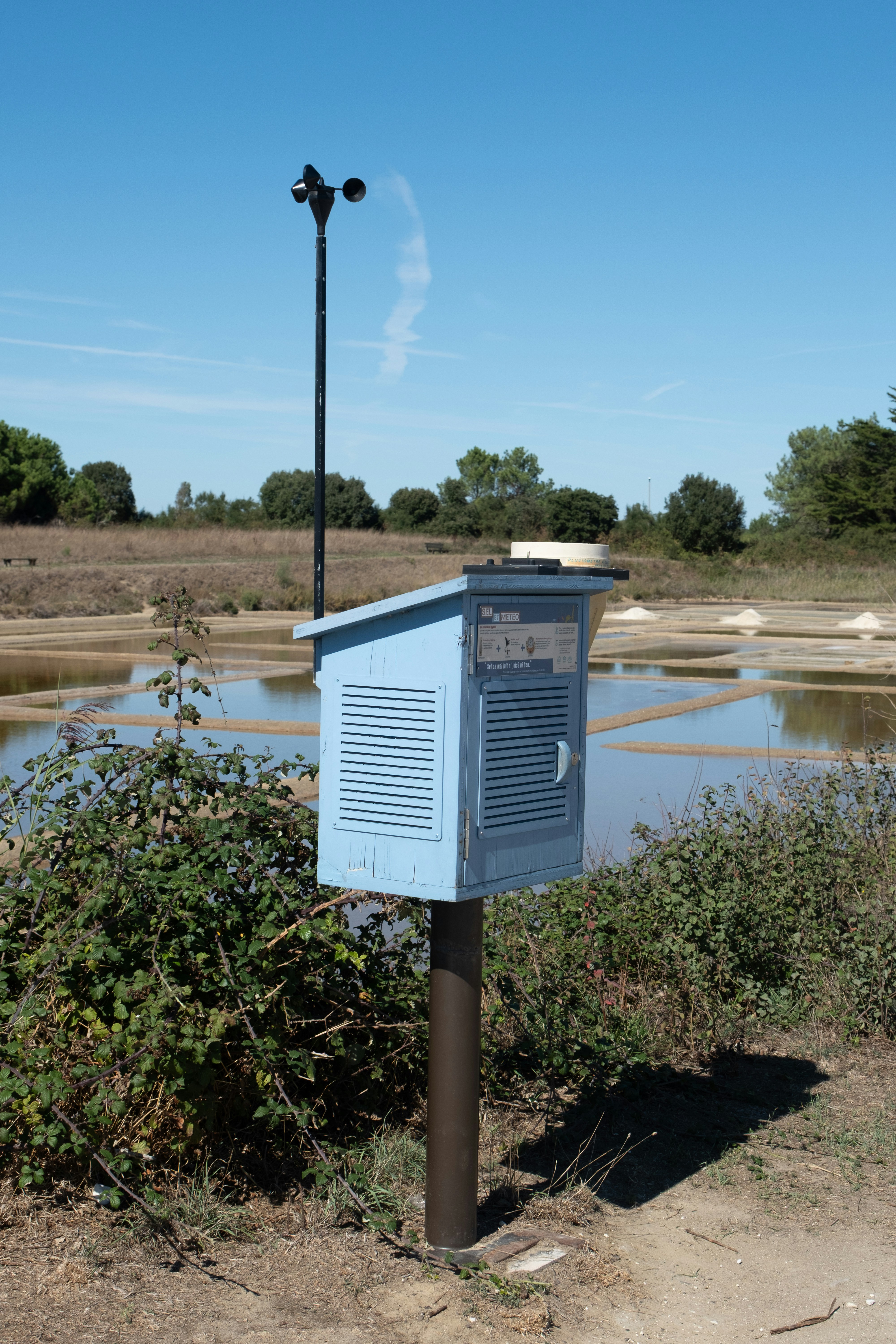 Blue Mailbox Station at the Edge of a Quiet Basin
