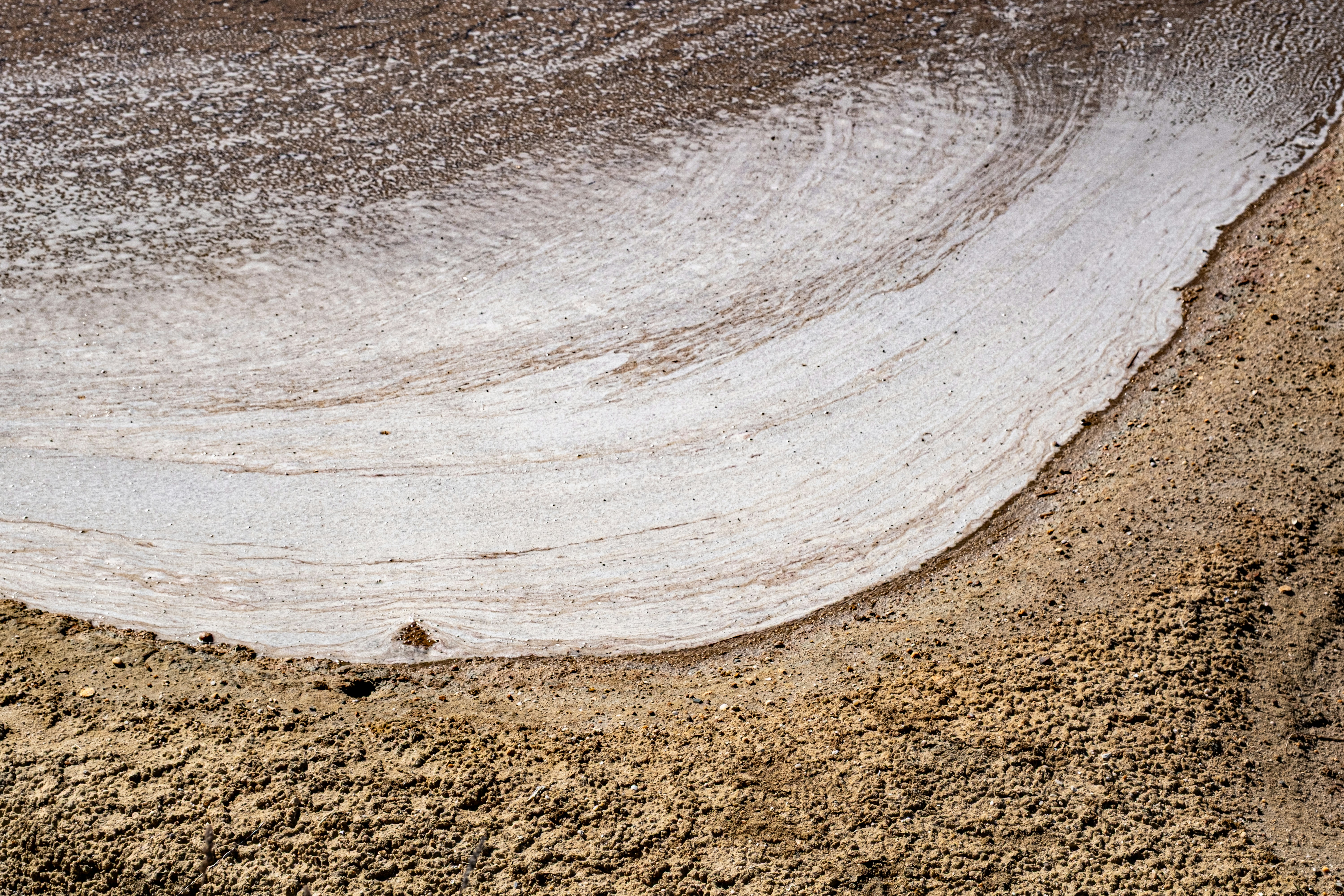 Coastal Edge: Textured shore meets foaming tide at first light