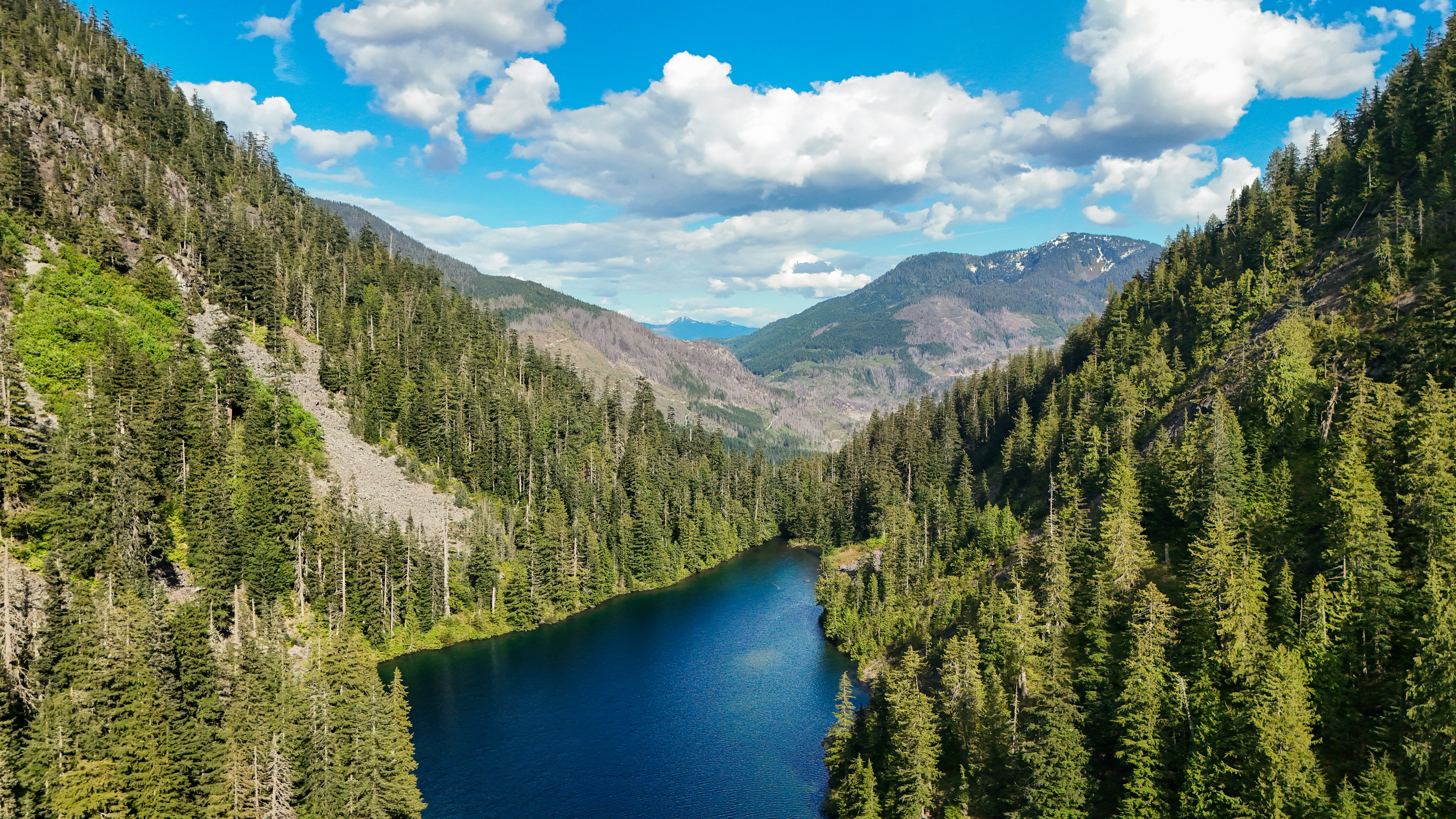 Azure Ribbon: A Mountain Lake Carved Between Pines