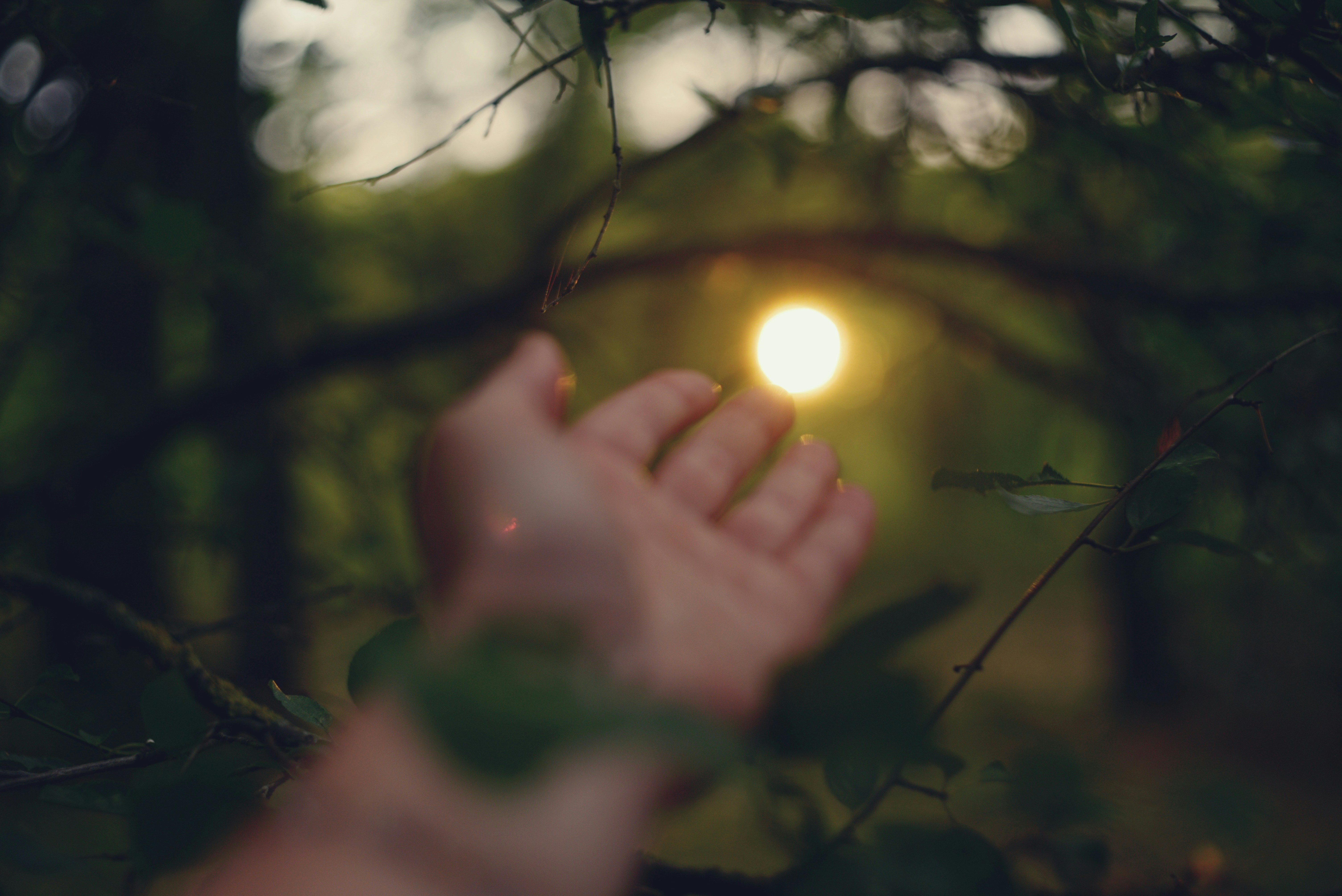 Sunlit Glimmer Through Outstretched Fingers