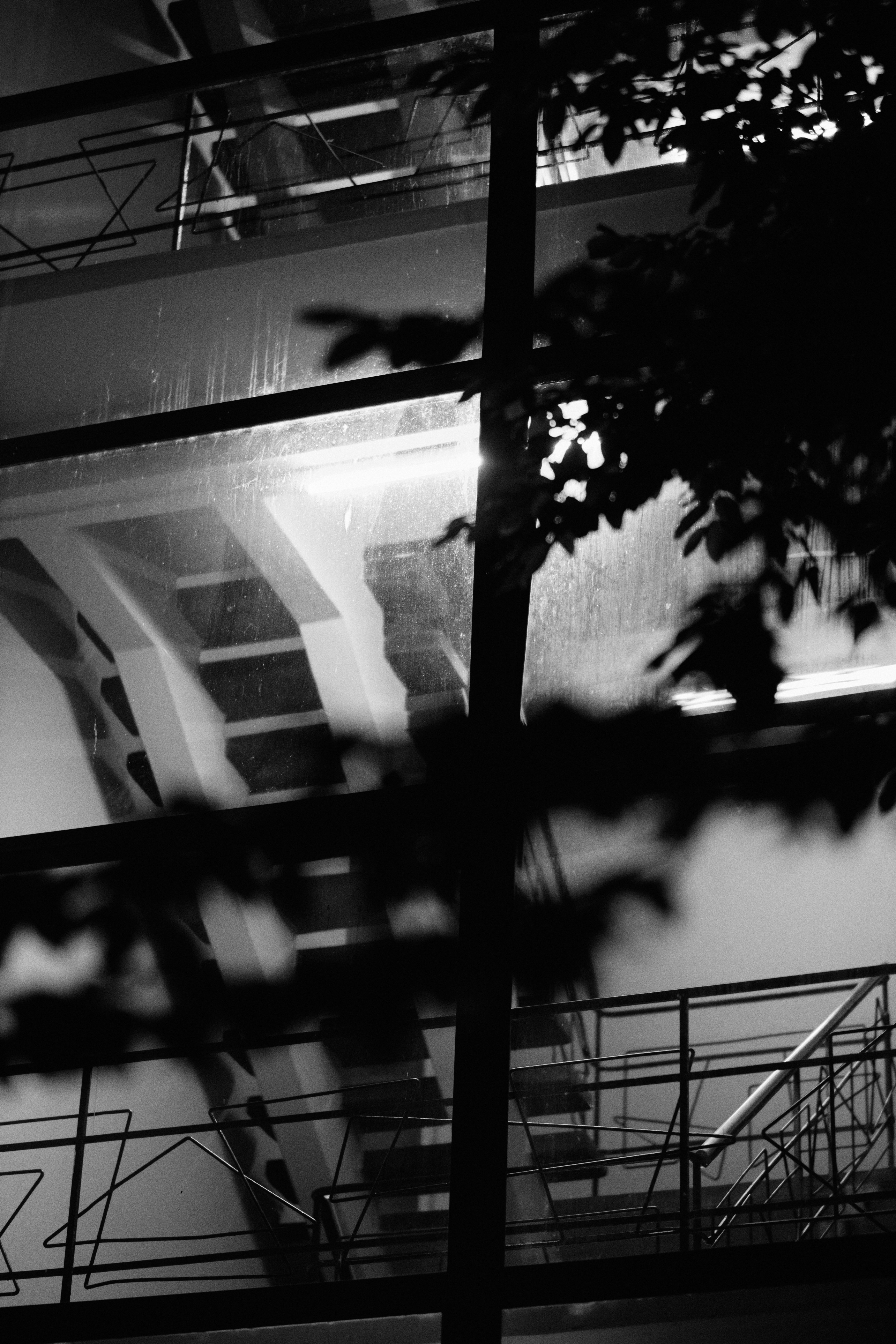 Shadowed Angles Through Glass and Steel