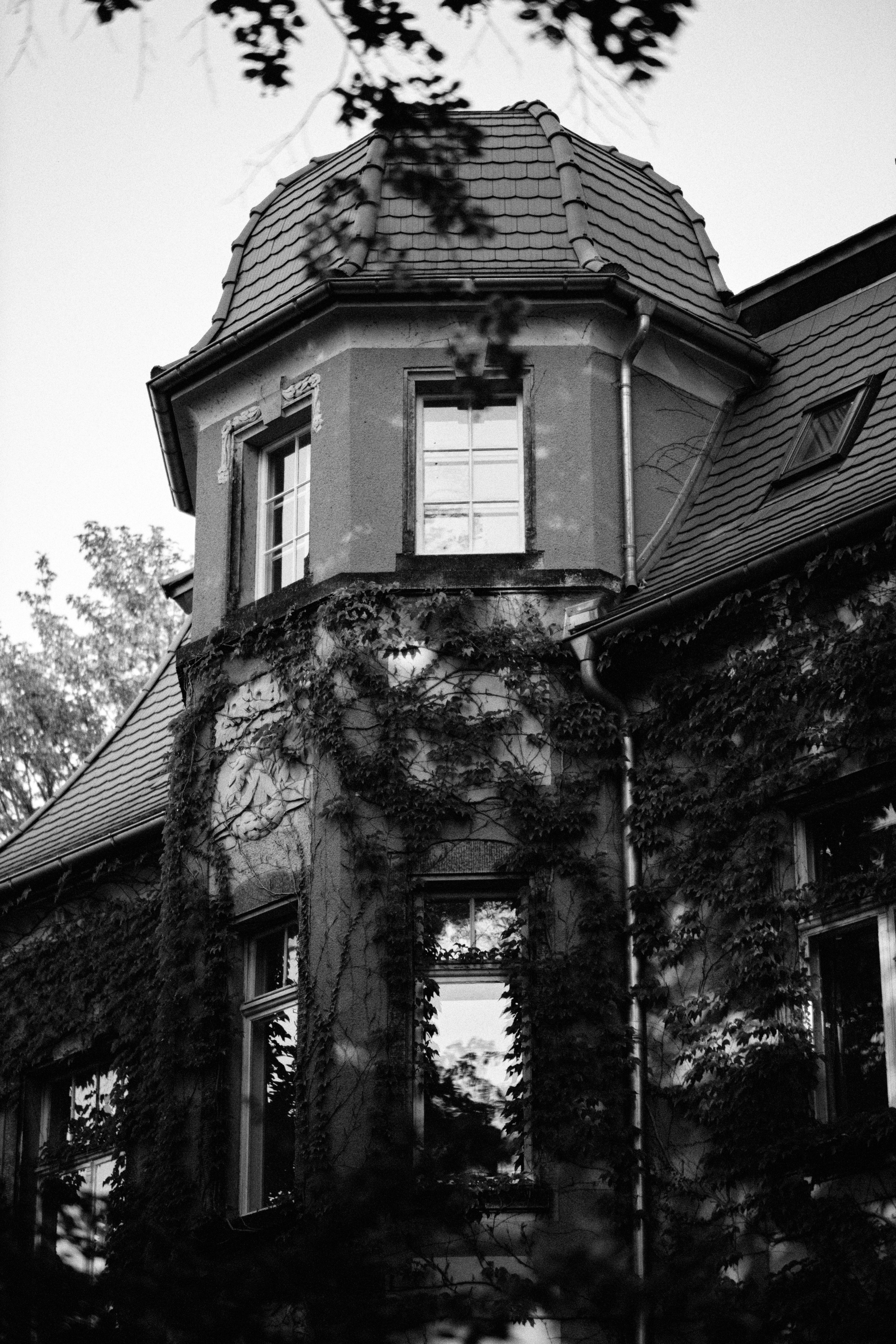 Ivy-Wrapped Turret: An Old House Reaching Toward the Sky