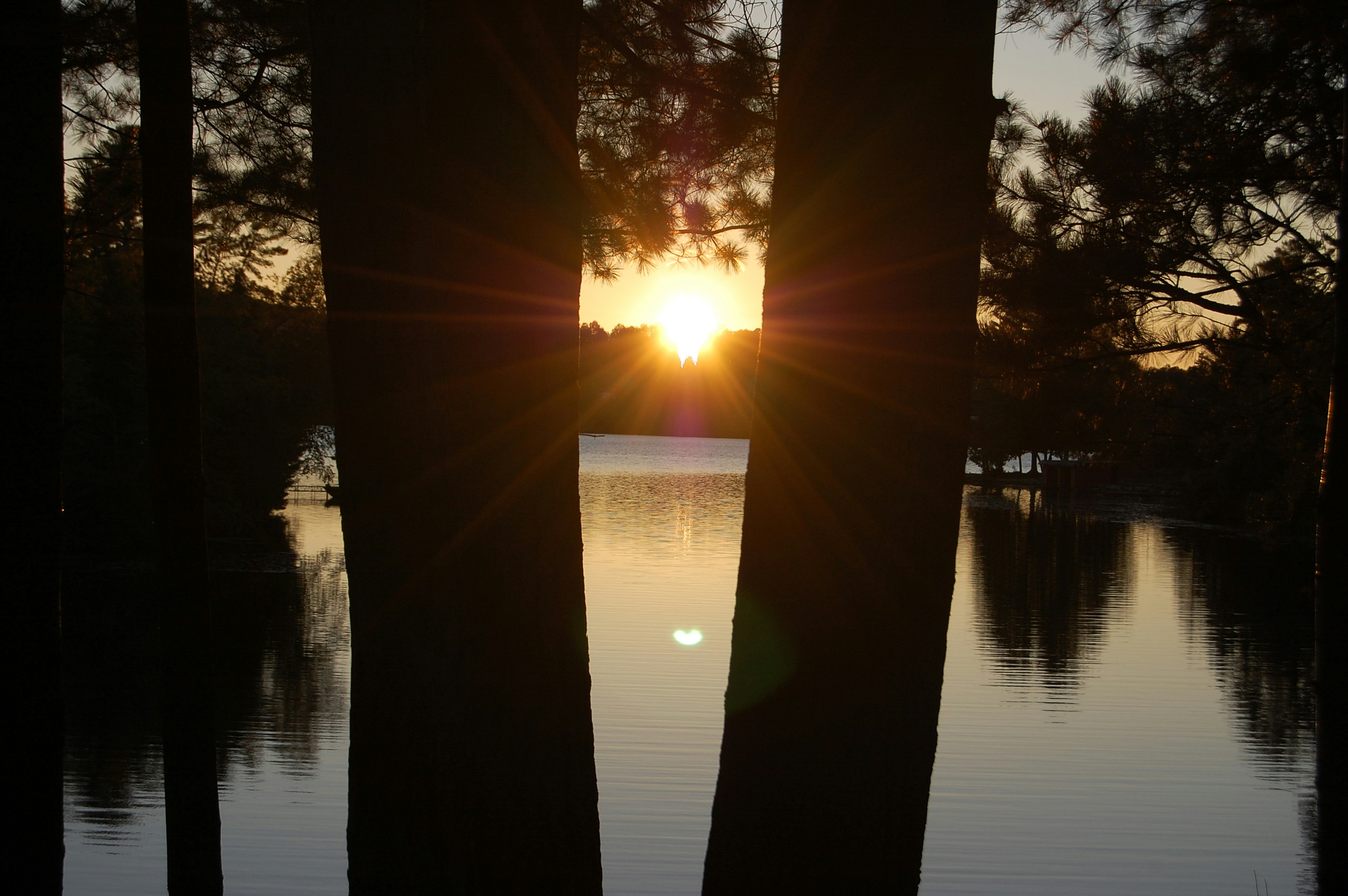 Sunrise between Silent guardians