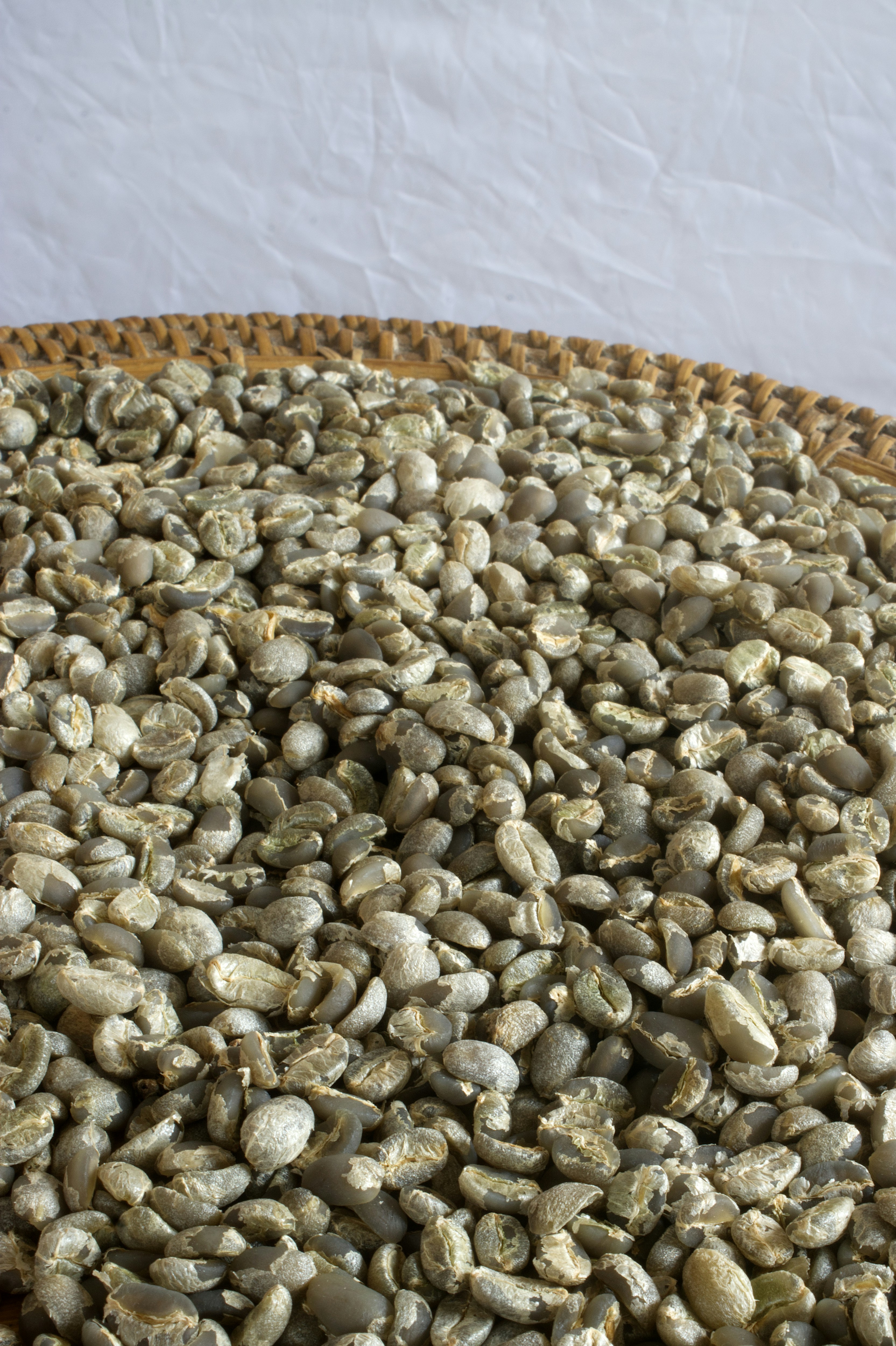 Harvest of Tiny Peaks: A Close-Up of Dried Beans Spilled Across a Wicker Rim