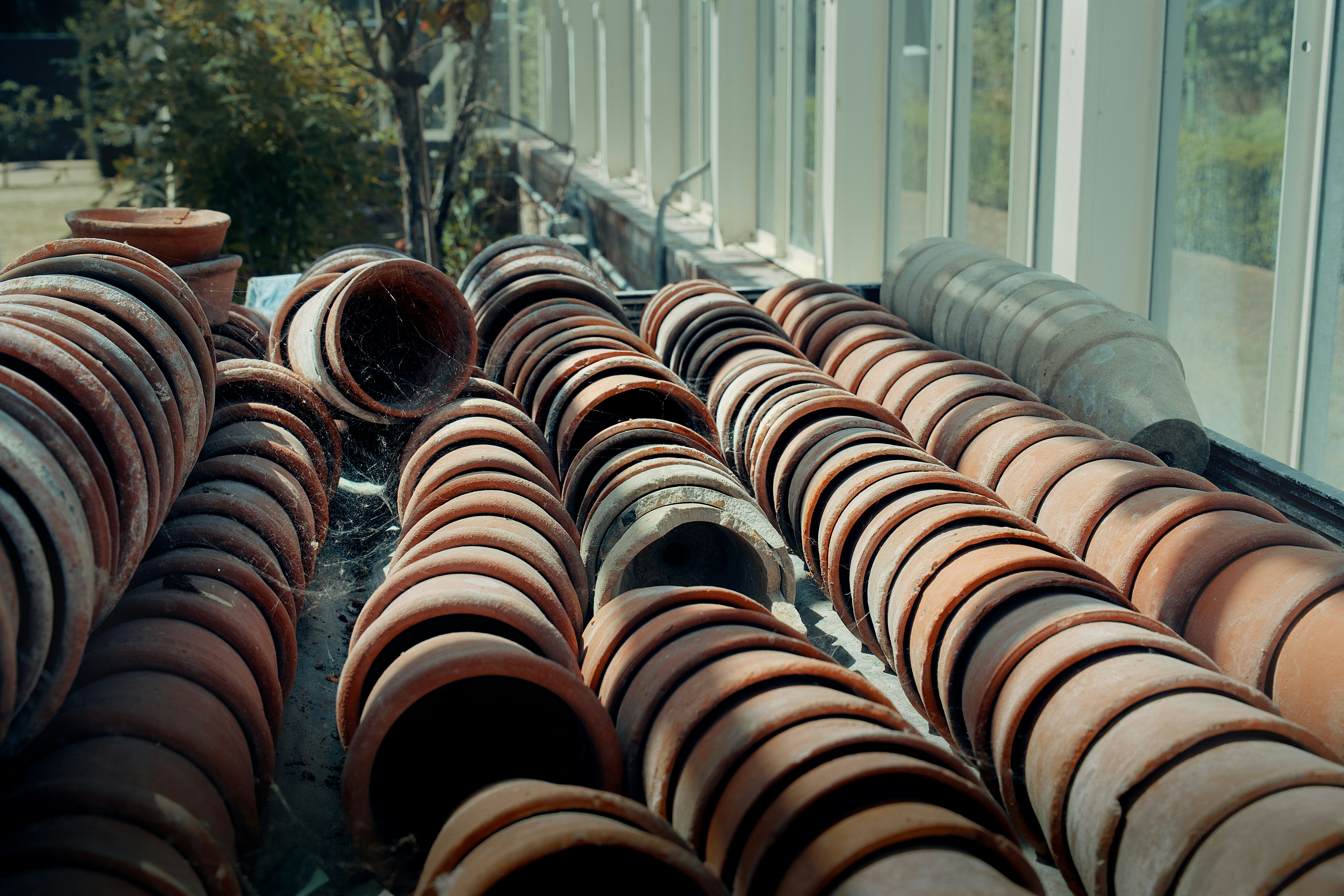 Rusted Roof Tiles in a Glass-Walled Plant Conservatory