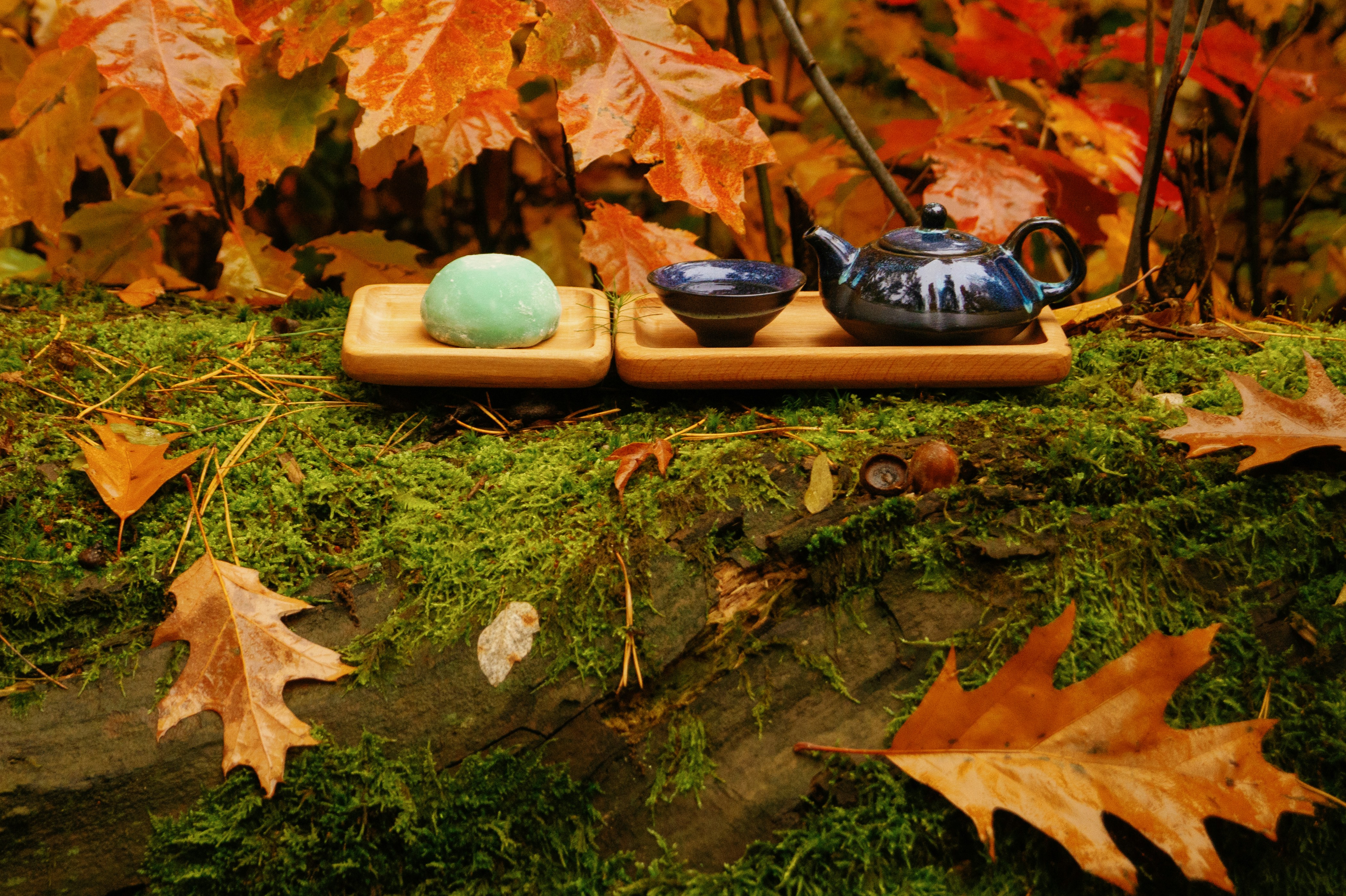 Autumn Tea Tribute: A Quiet Ceremonial Moment on Mossy Stone