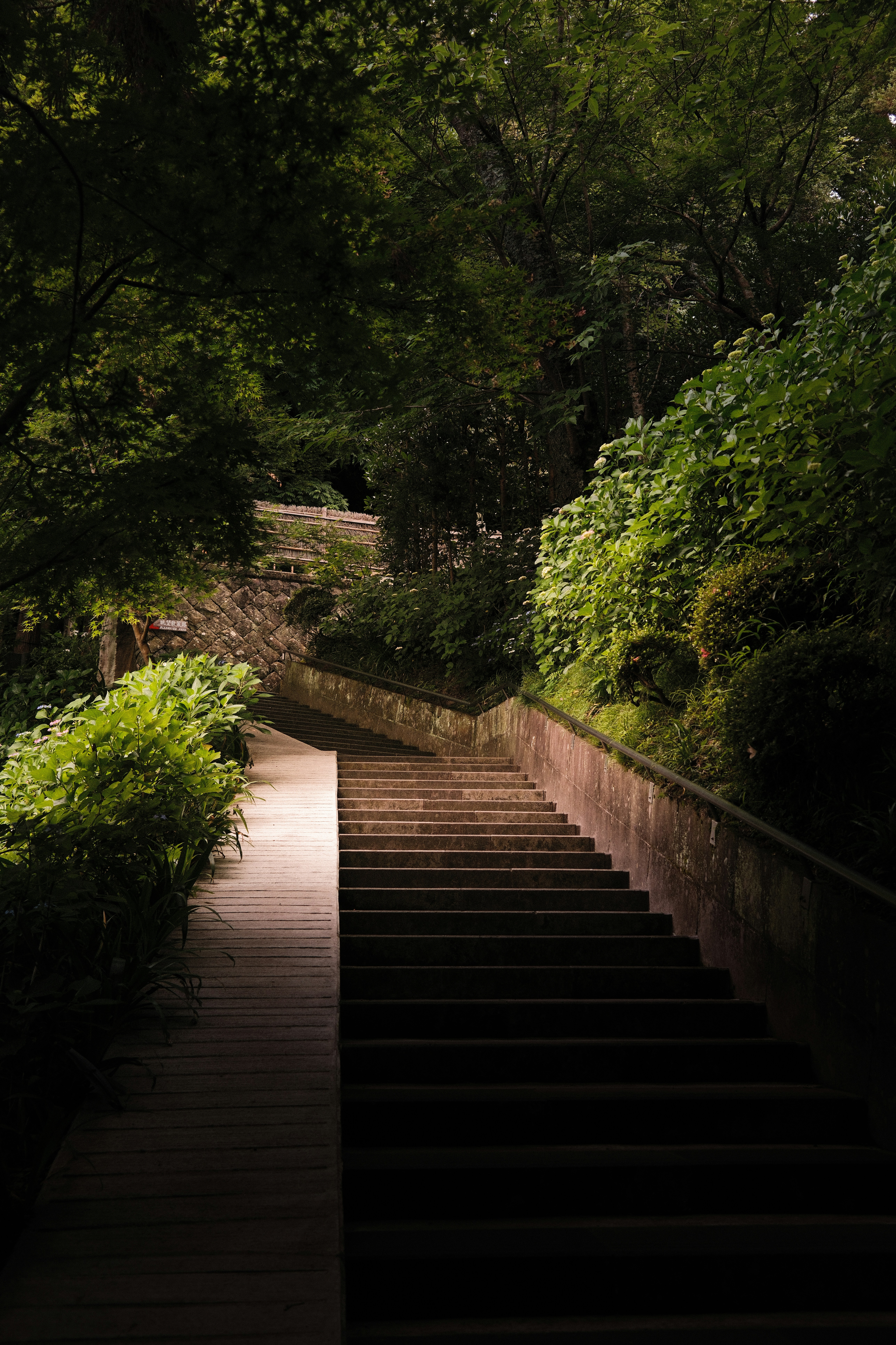 Stairway Through Dappled Light