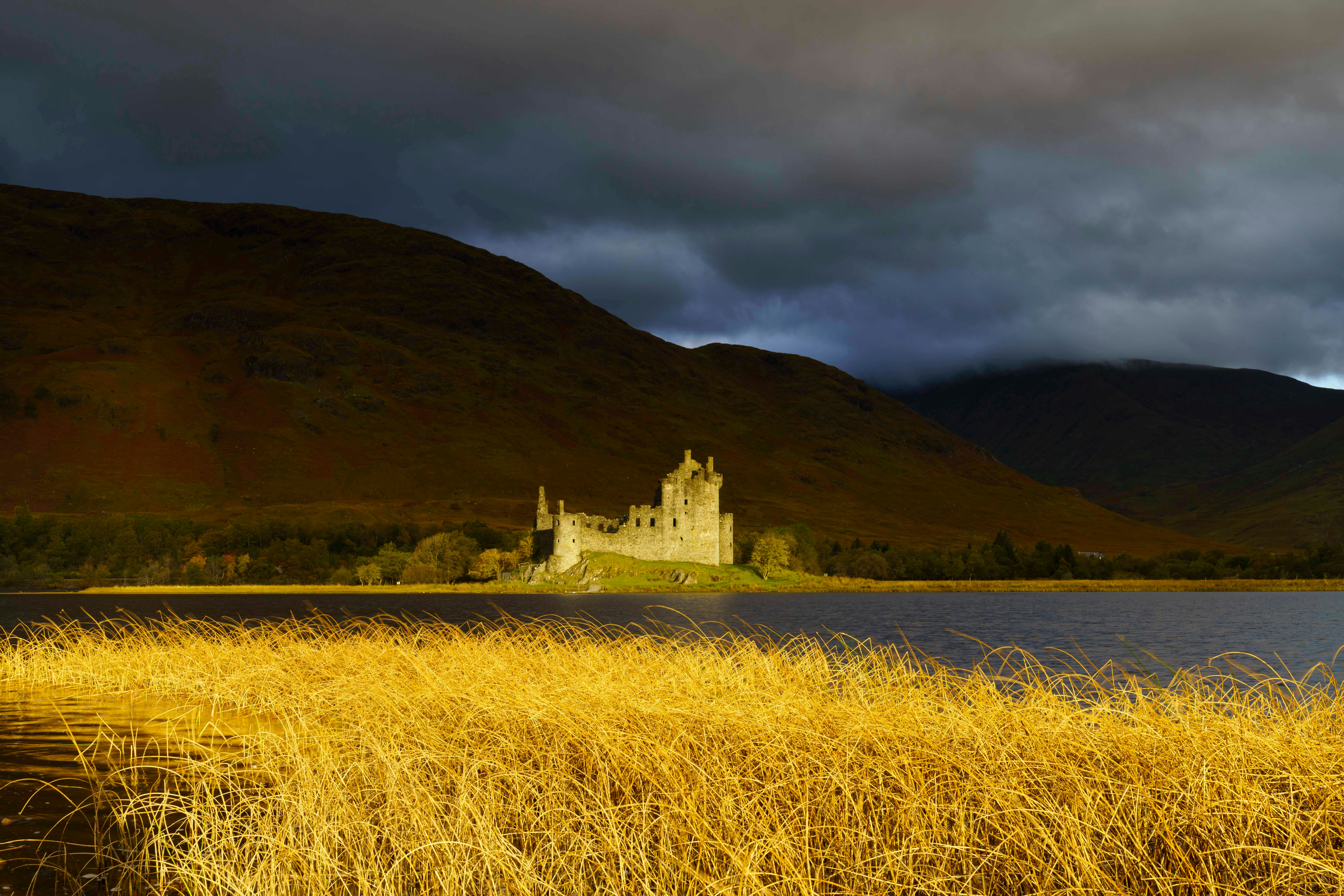 Golden reeds foreground a tranquil lake with a distant castle under moody clouds; a landscape scene emphasizing rural isolation and atmospheric light.