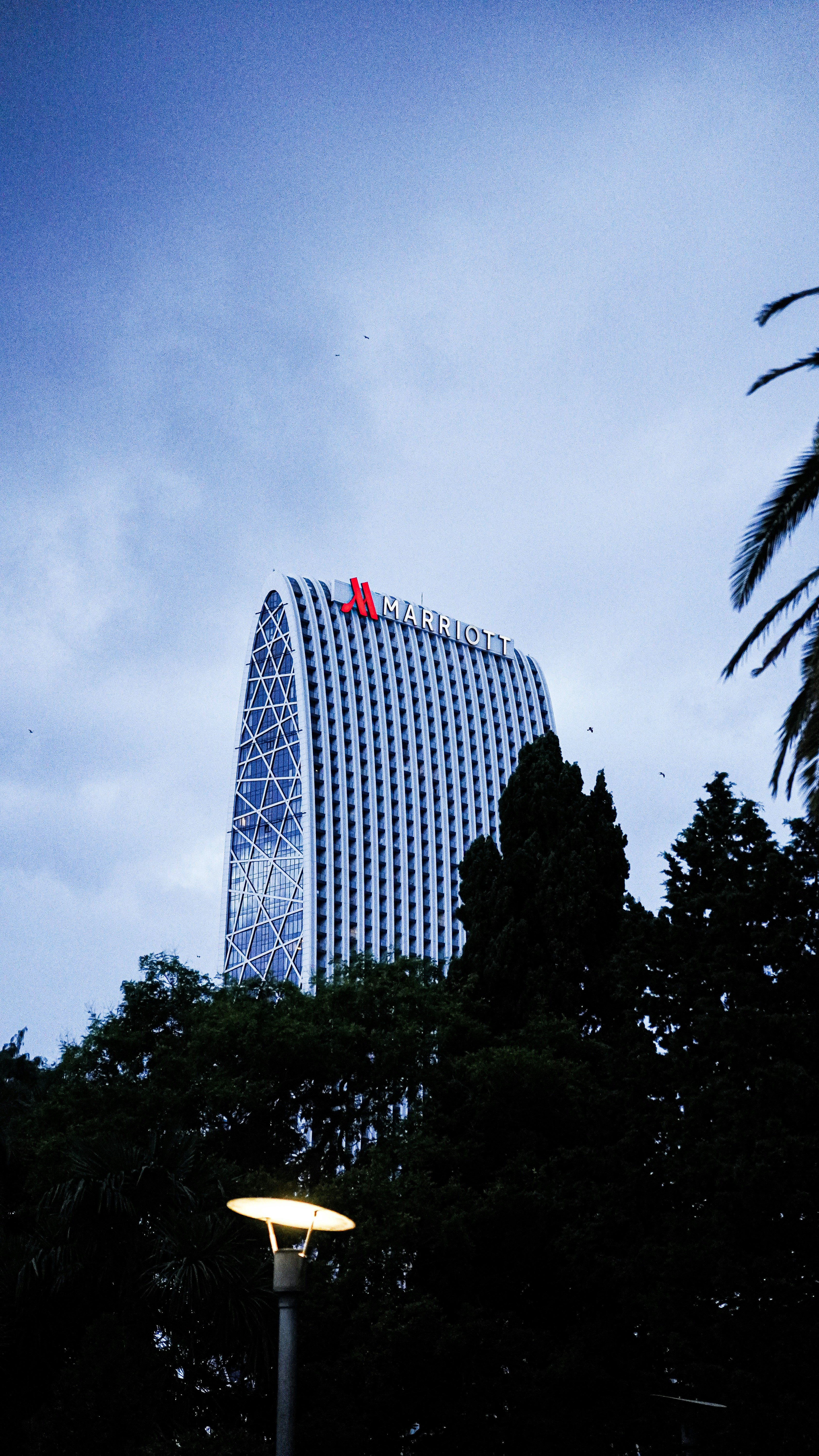 The Marriott hotel building with a curved facade rising above dark green trees