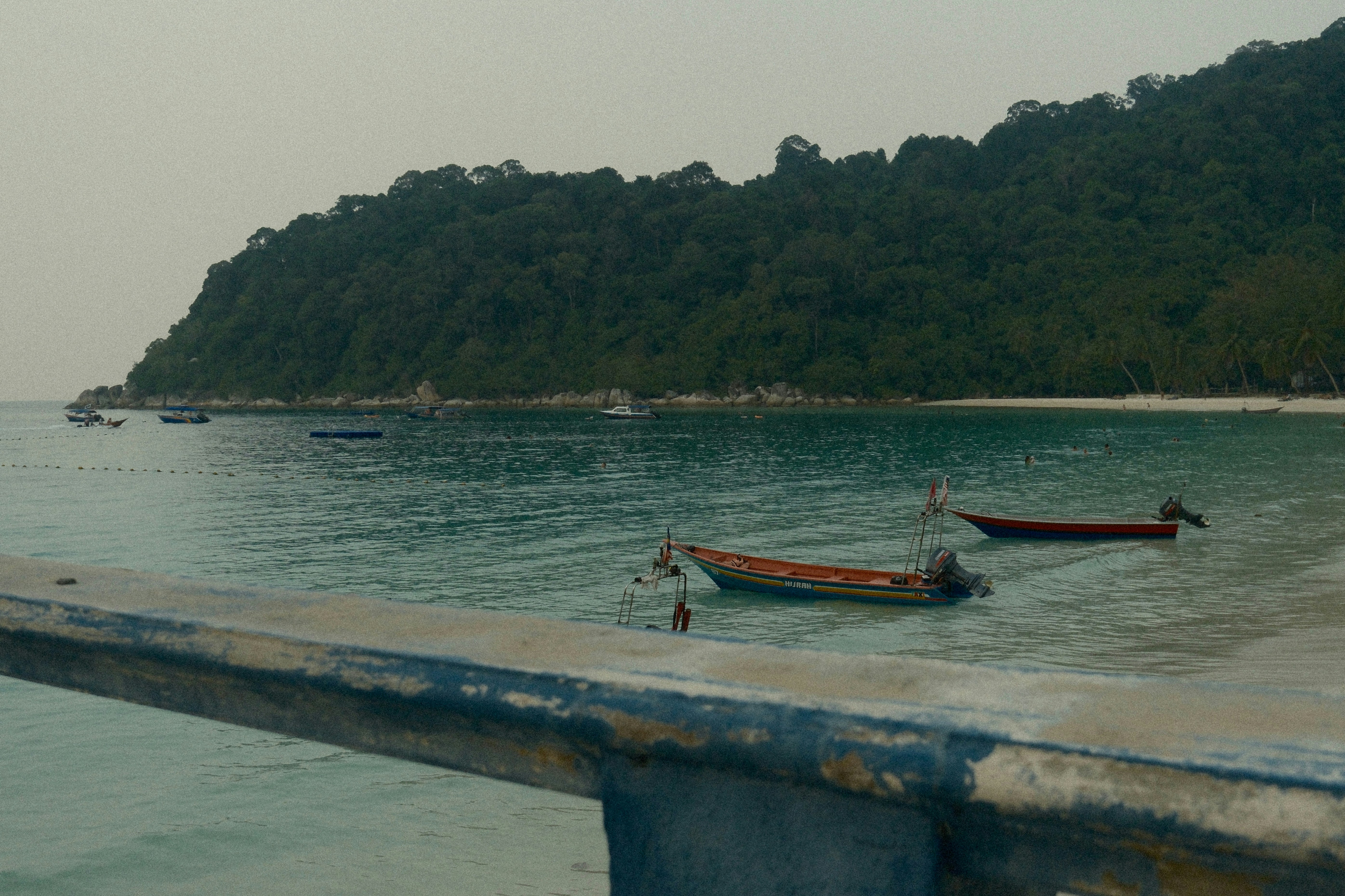 Quiet Cove: Boats at the Edge of a Green Shore