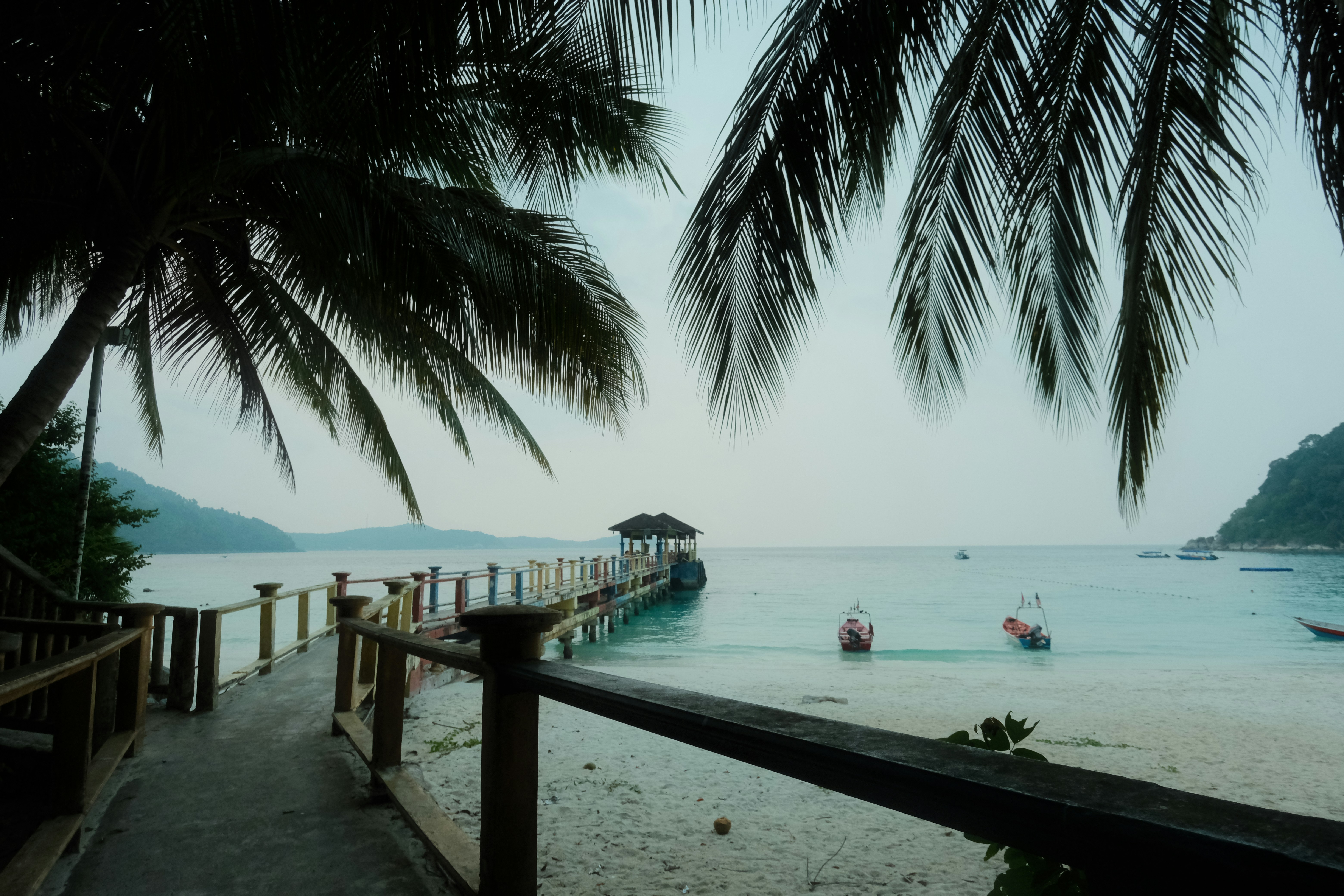Palm-fringed pier melts into tranquil turquoise horizon