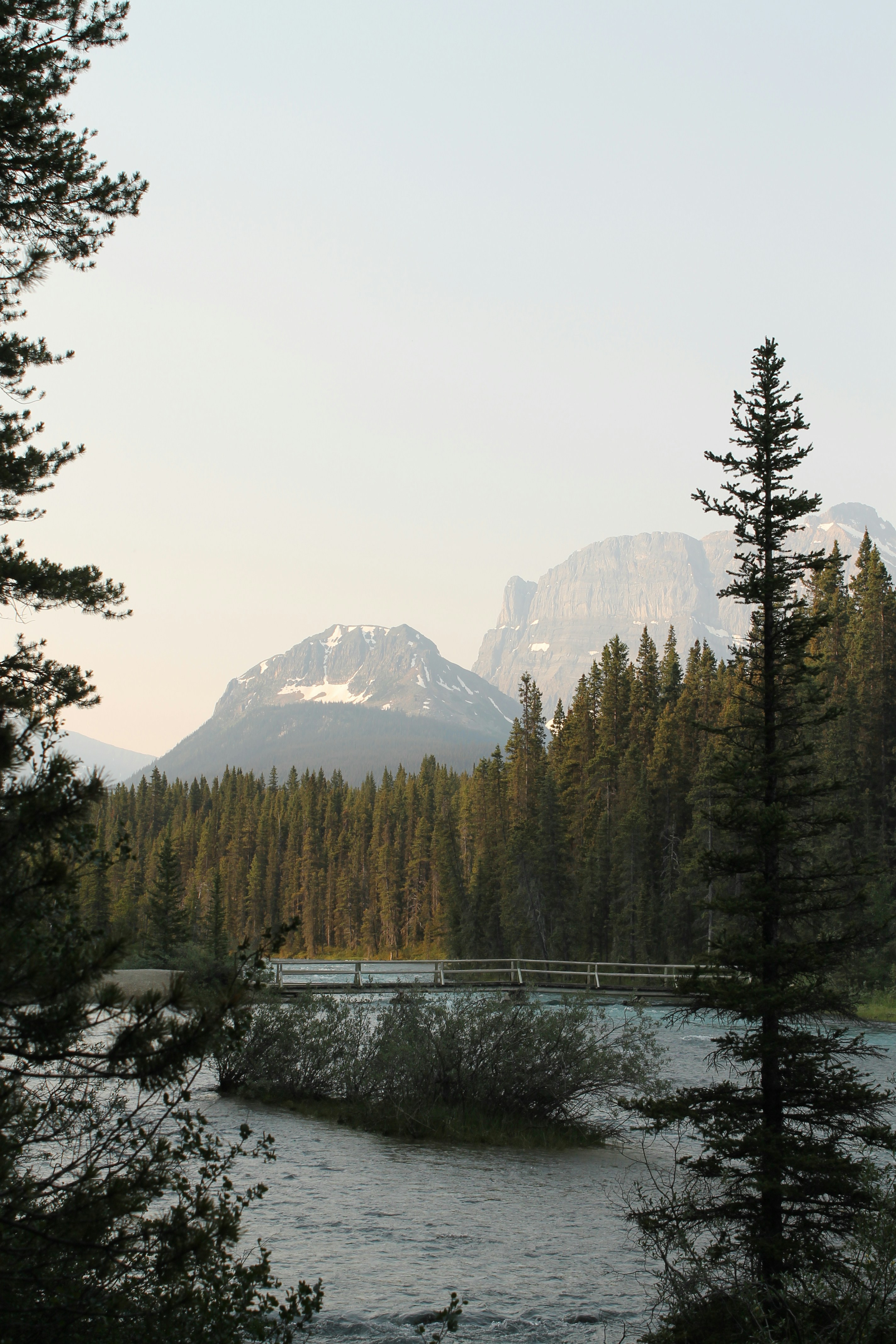 Distant mountains rise above a dense pine forest with a calm river in the foreground, bathed in soft morning light.