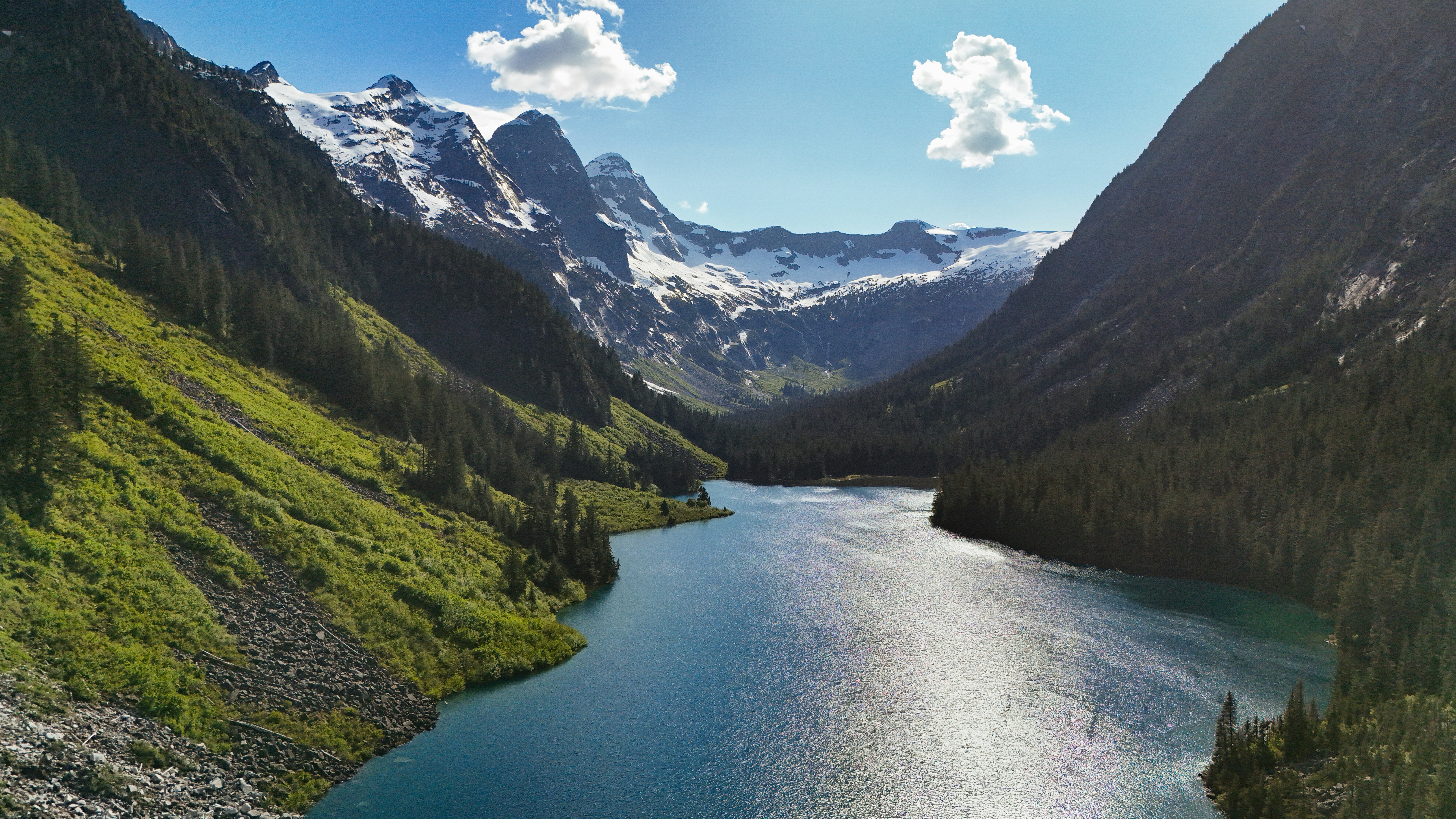 Vast alpine valley with a winding river flanked by pine forests and snow-dusted mountains under a bright blue sky.