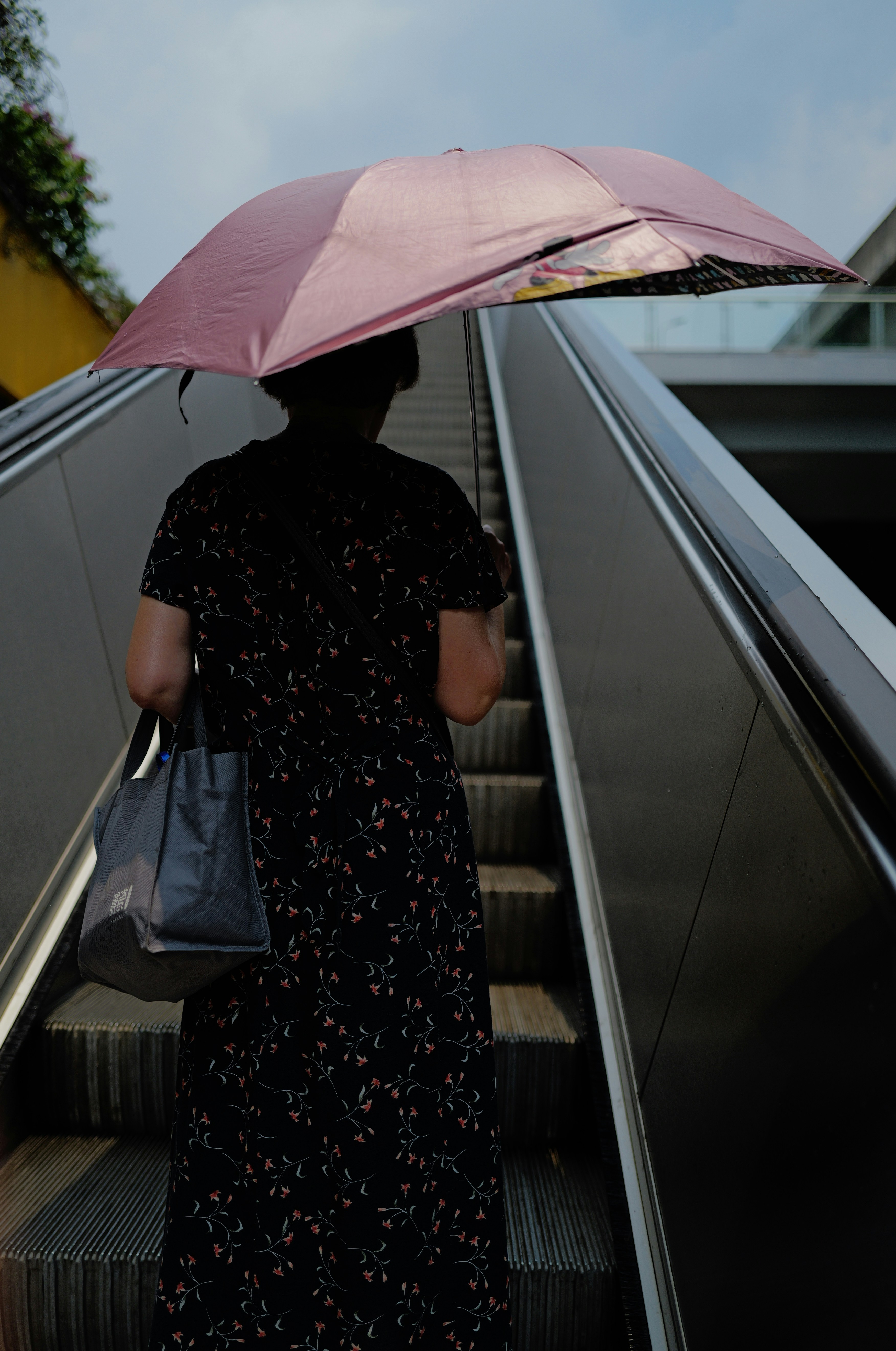 Umbrella Above the Quiet Ascent