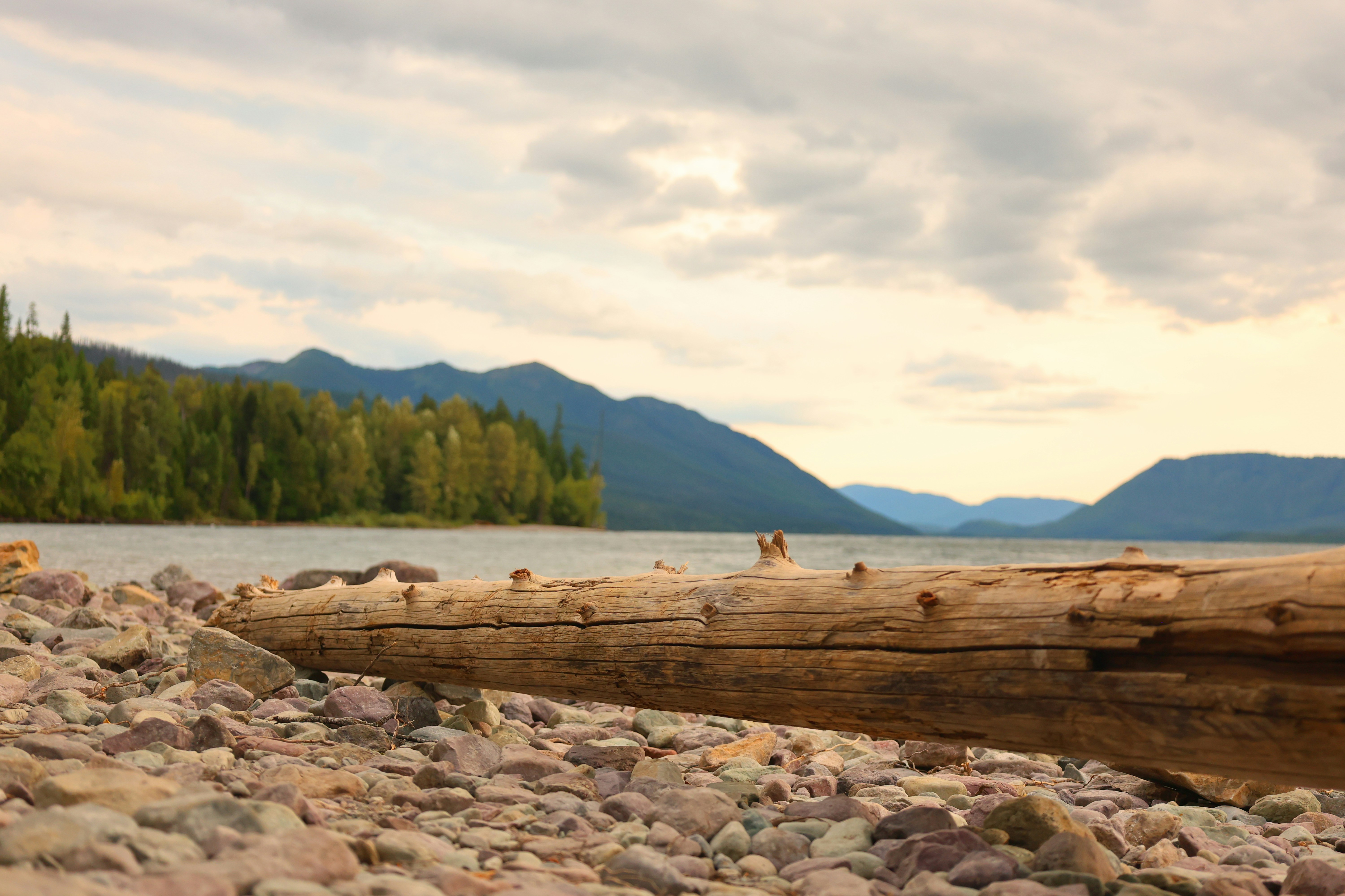 Driftwood at the Edge: Pebble Beach and a Distant Ridge