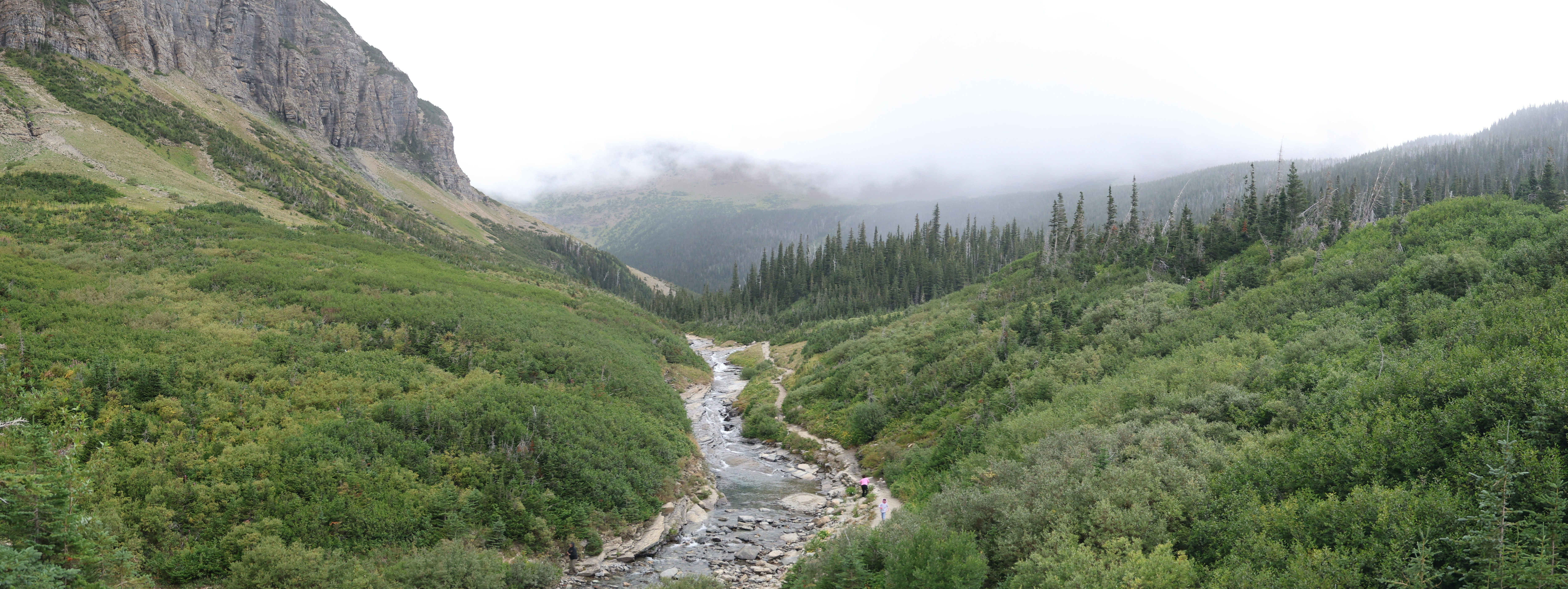 Mountain River Corridors: A Green Valley Traversed by a Pebbled Stream