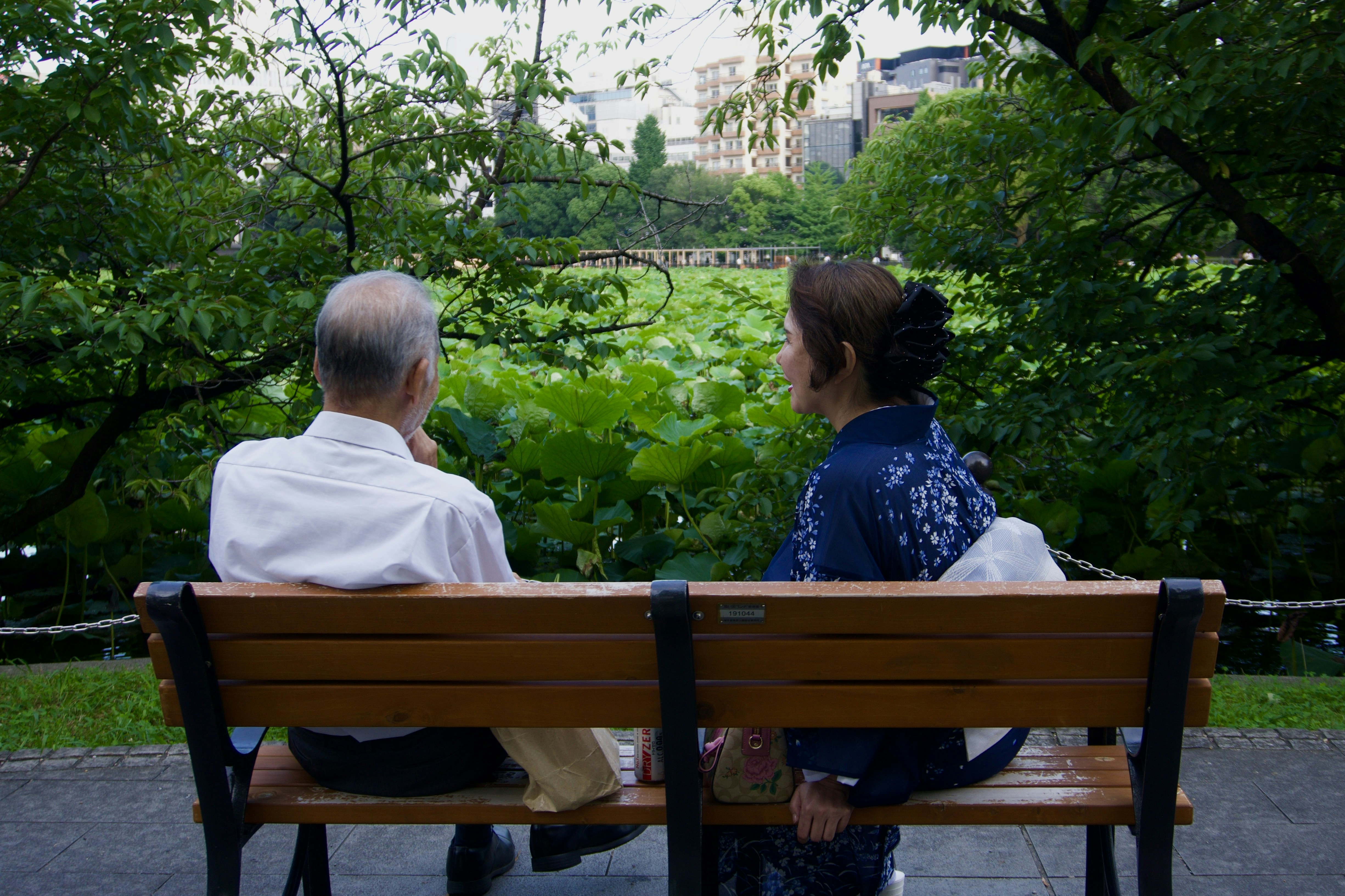 Silent Conversation on a Park Bench