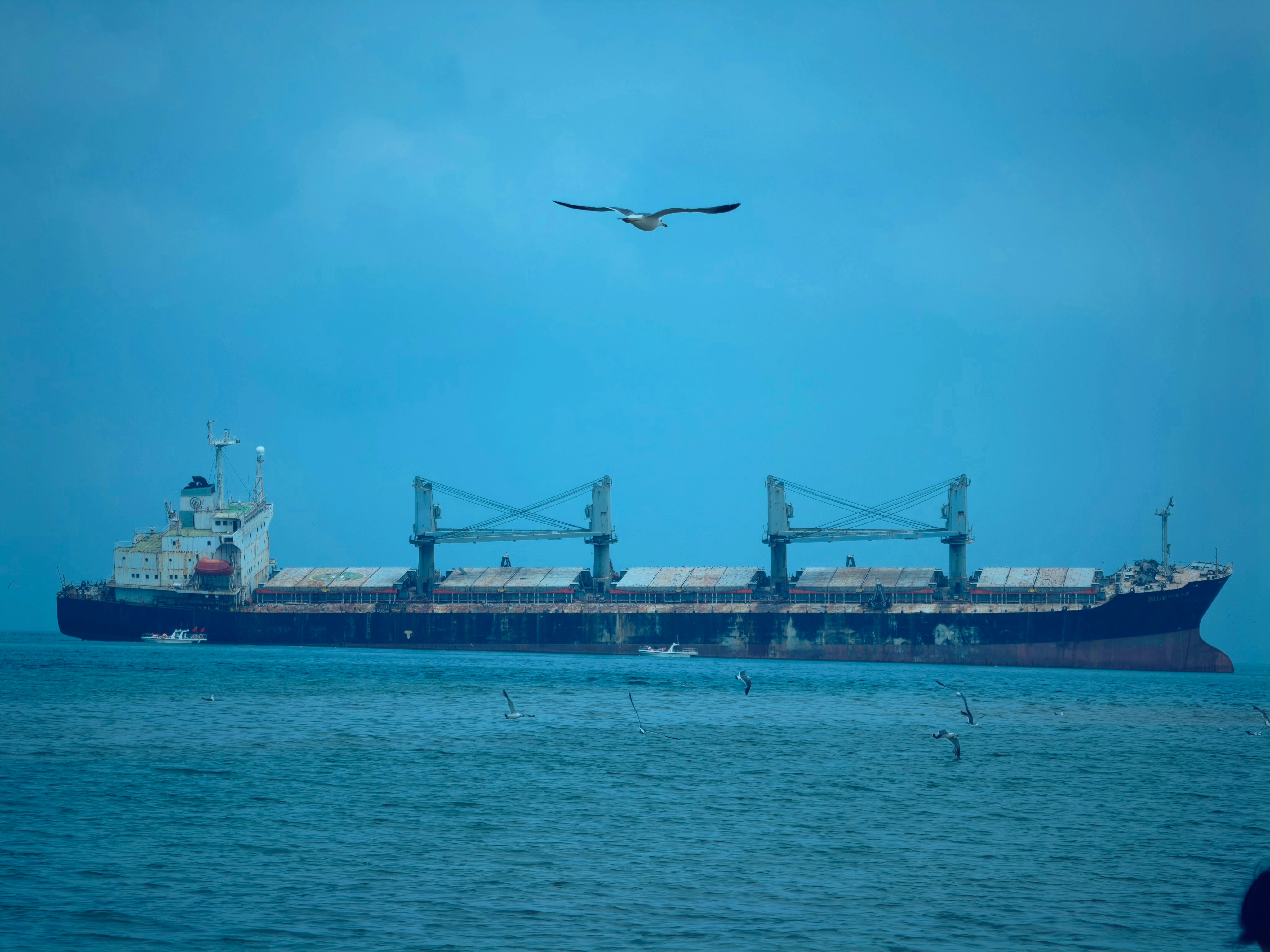 Midday Horizon: A Freighter Gliding Across Quiet Ocean