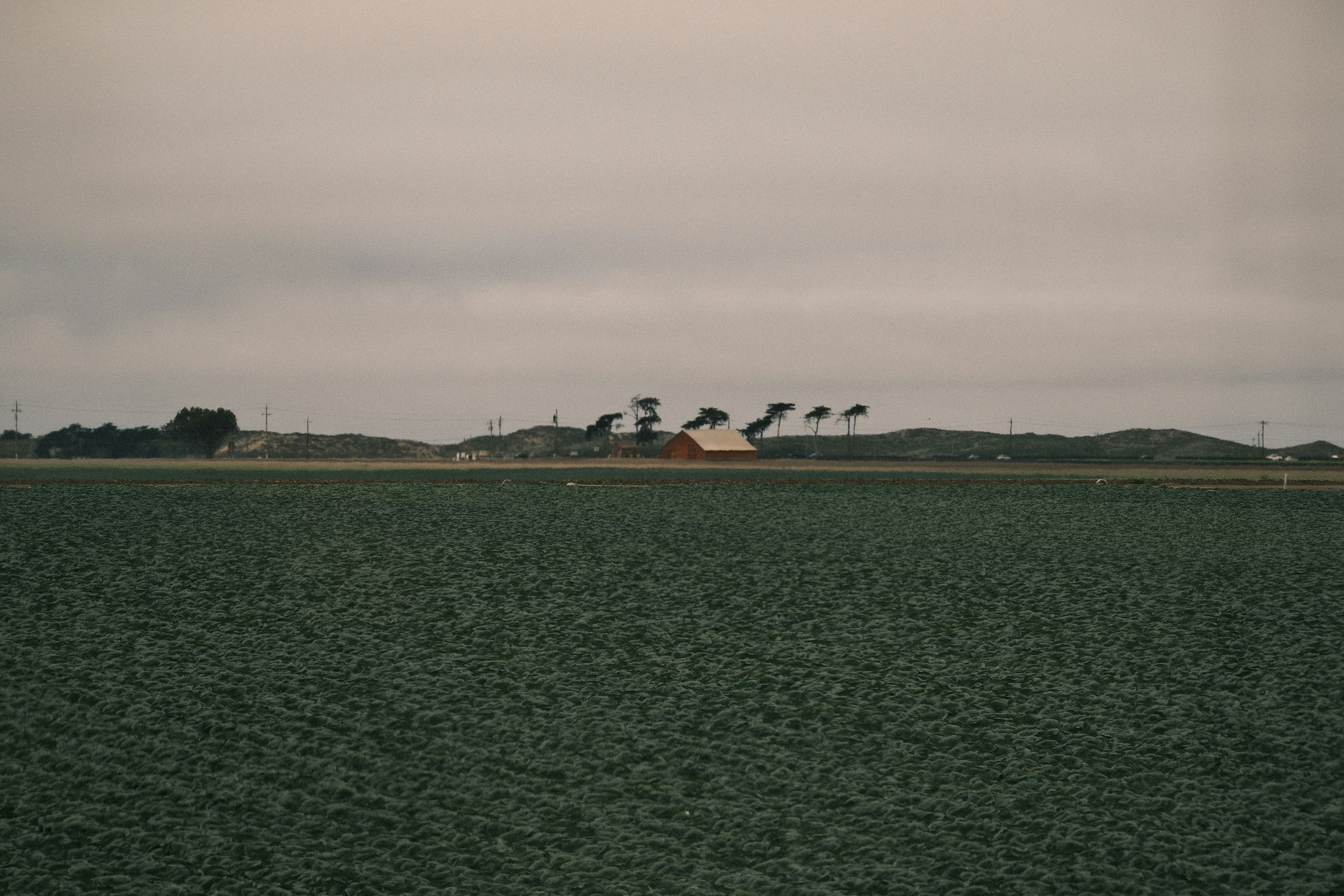 Coastal Dunes and distant Homestead Under Overcast Sky