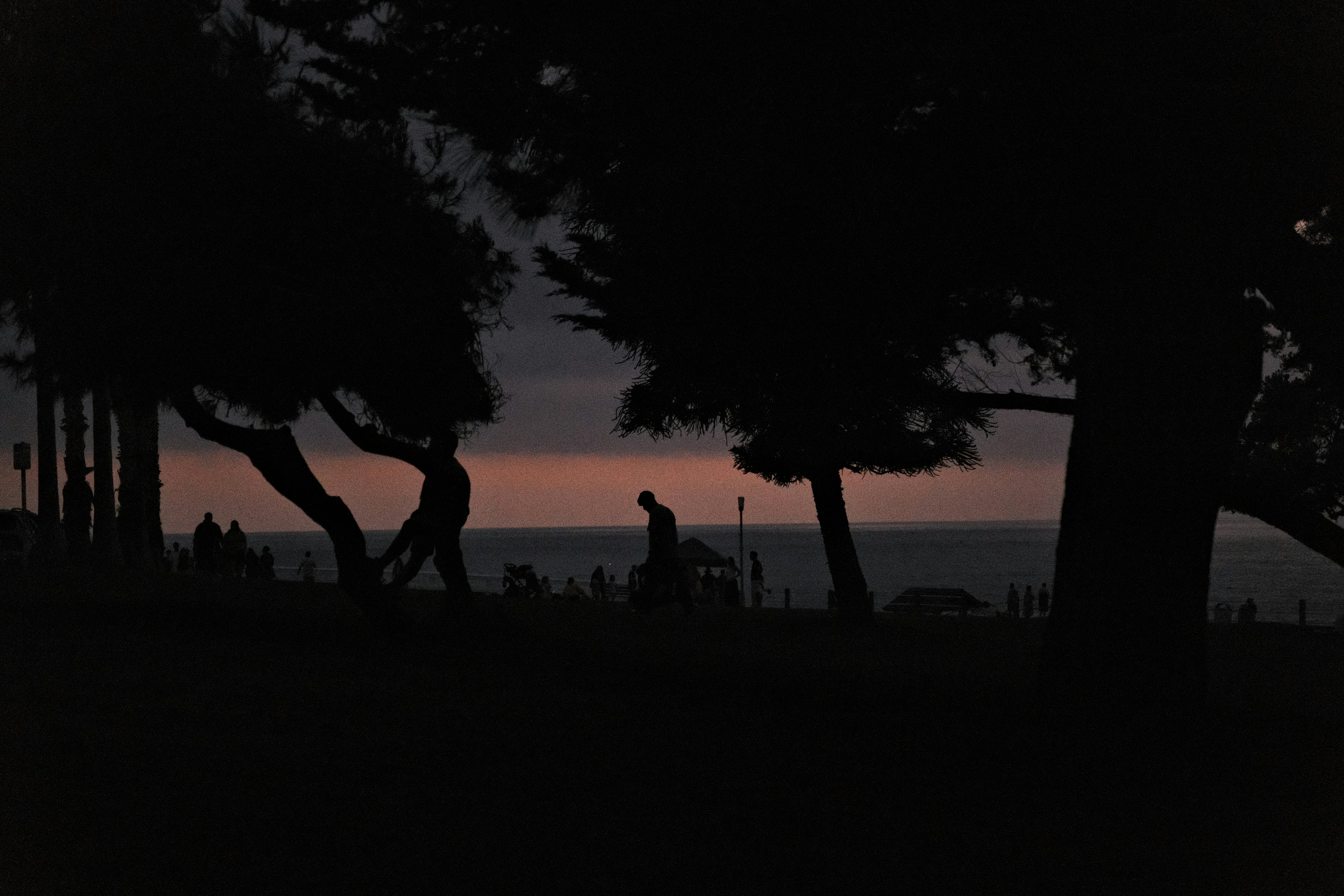 Silhouetted Beach Twilight: Faces in the Faint Horizon