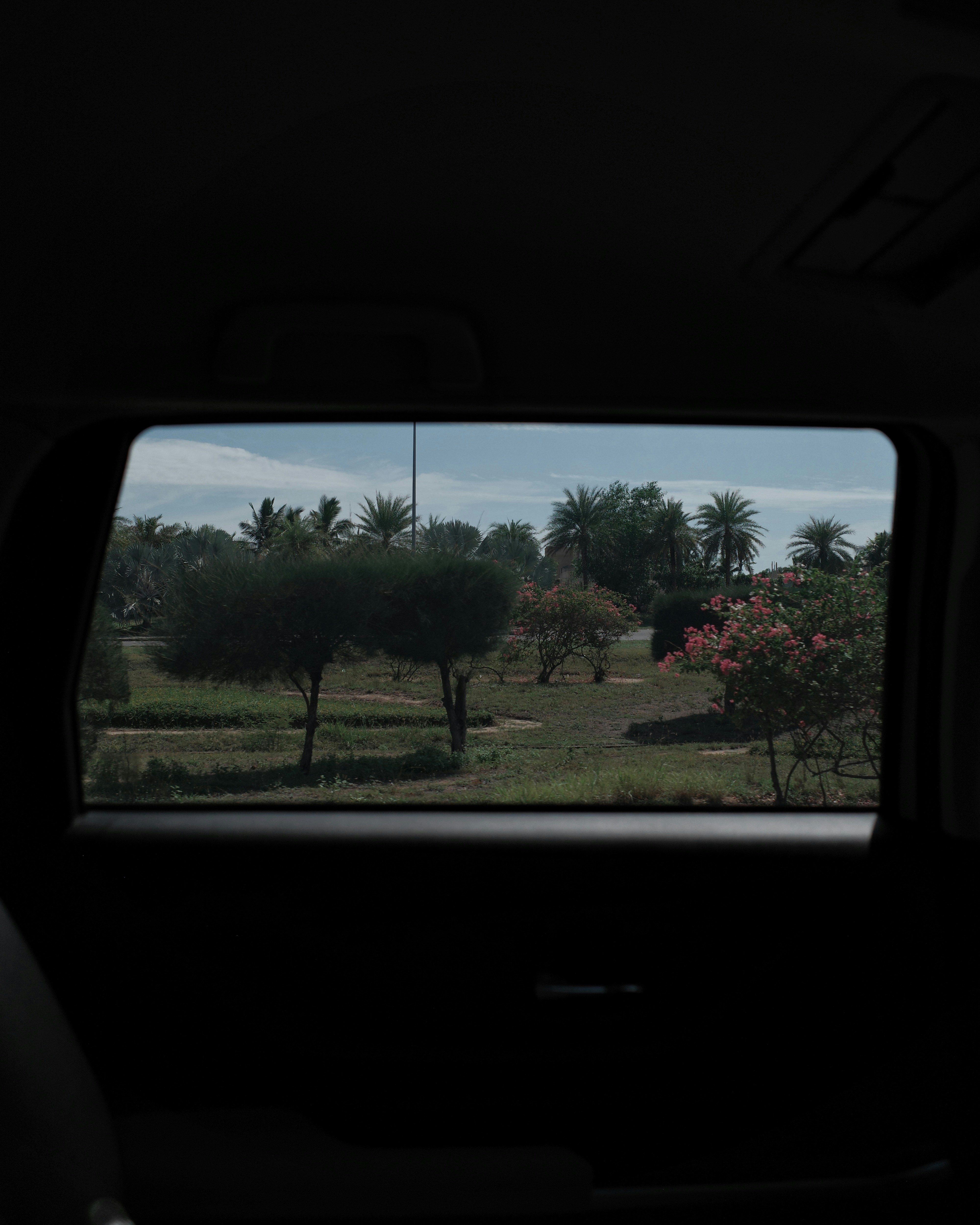 Sunlit park scene viewed through a car window, showing trimmed bushes, scattered trees, and pink flowers against a clear sky.