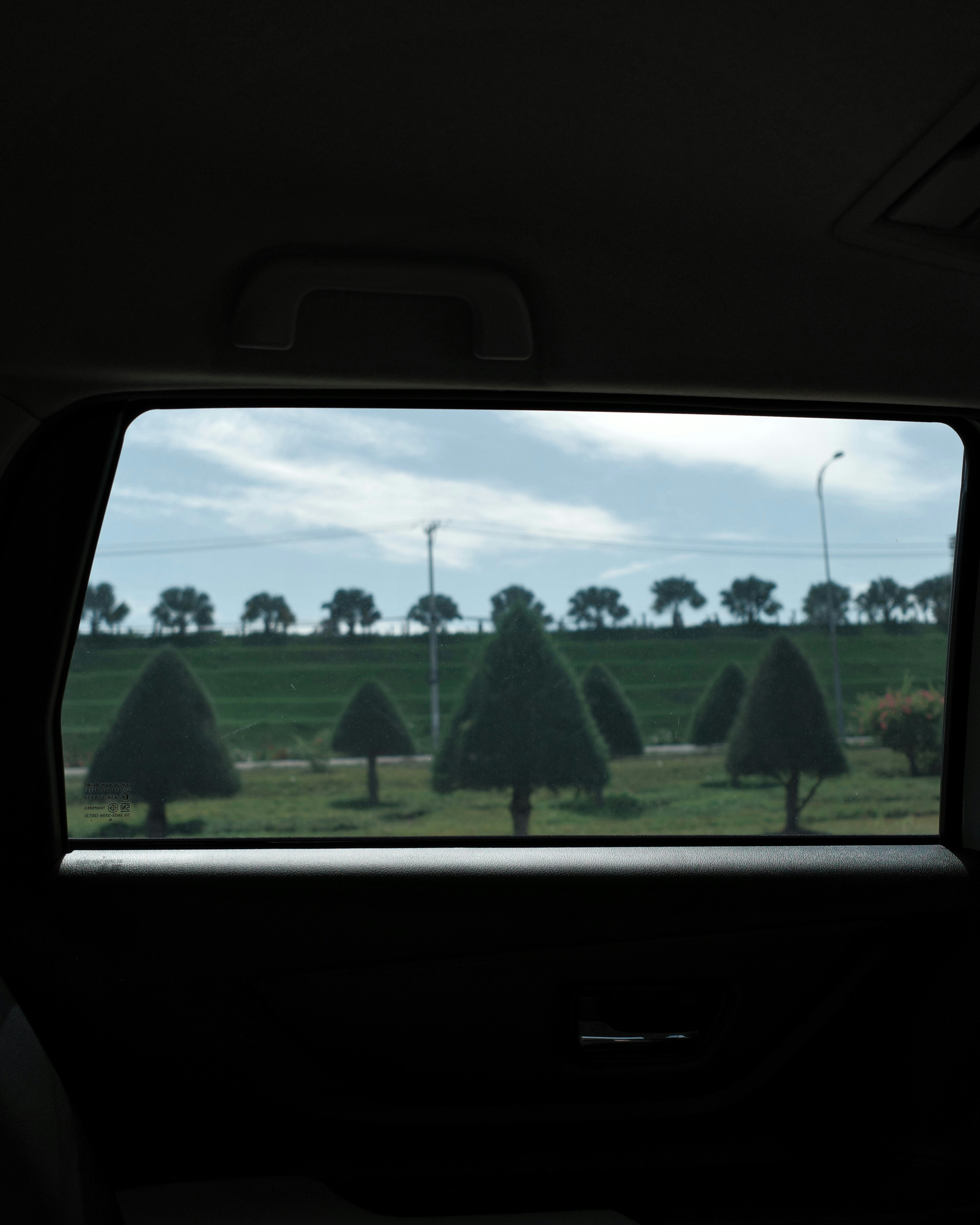 Tree-lined park seen through a car rear window