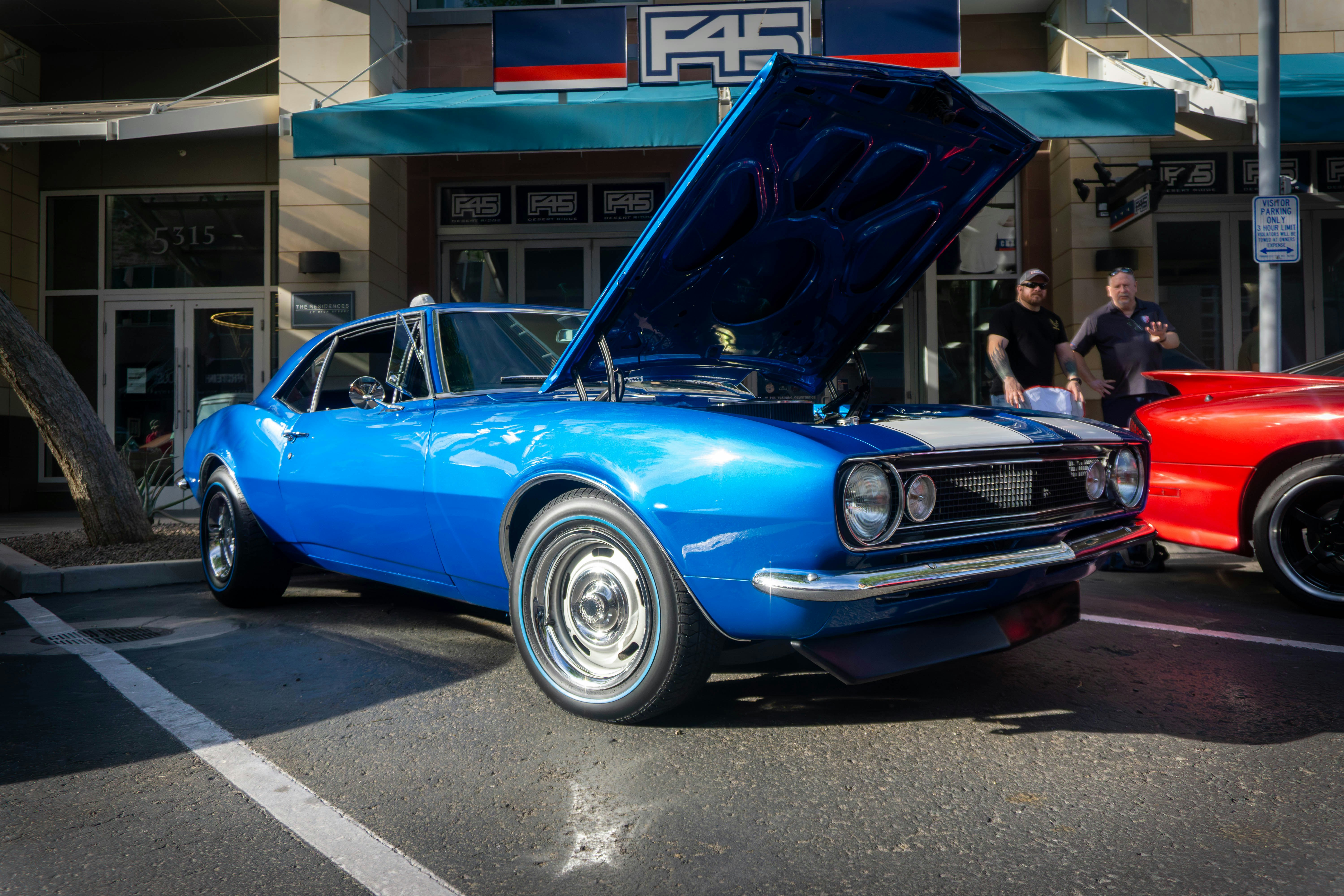 Blue Classic: A gleaming '66 Chevrolet with raised hood under showroom lights