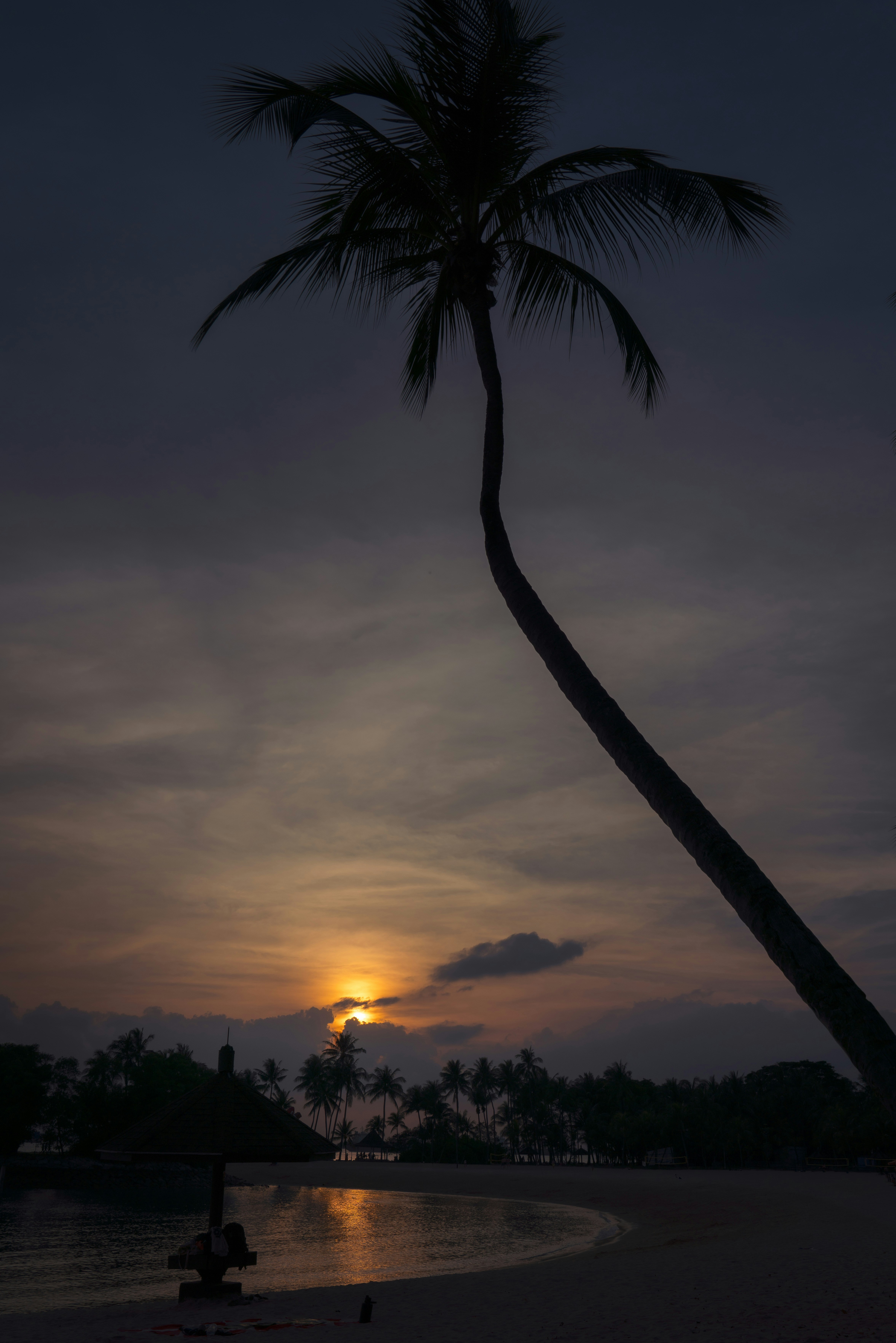 Slanted Palms at Sunset over a Quiet Lagoon