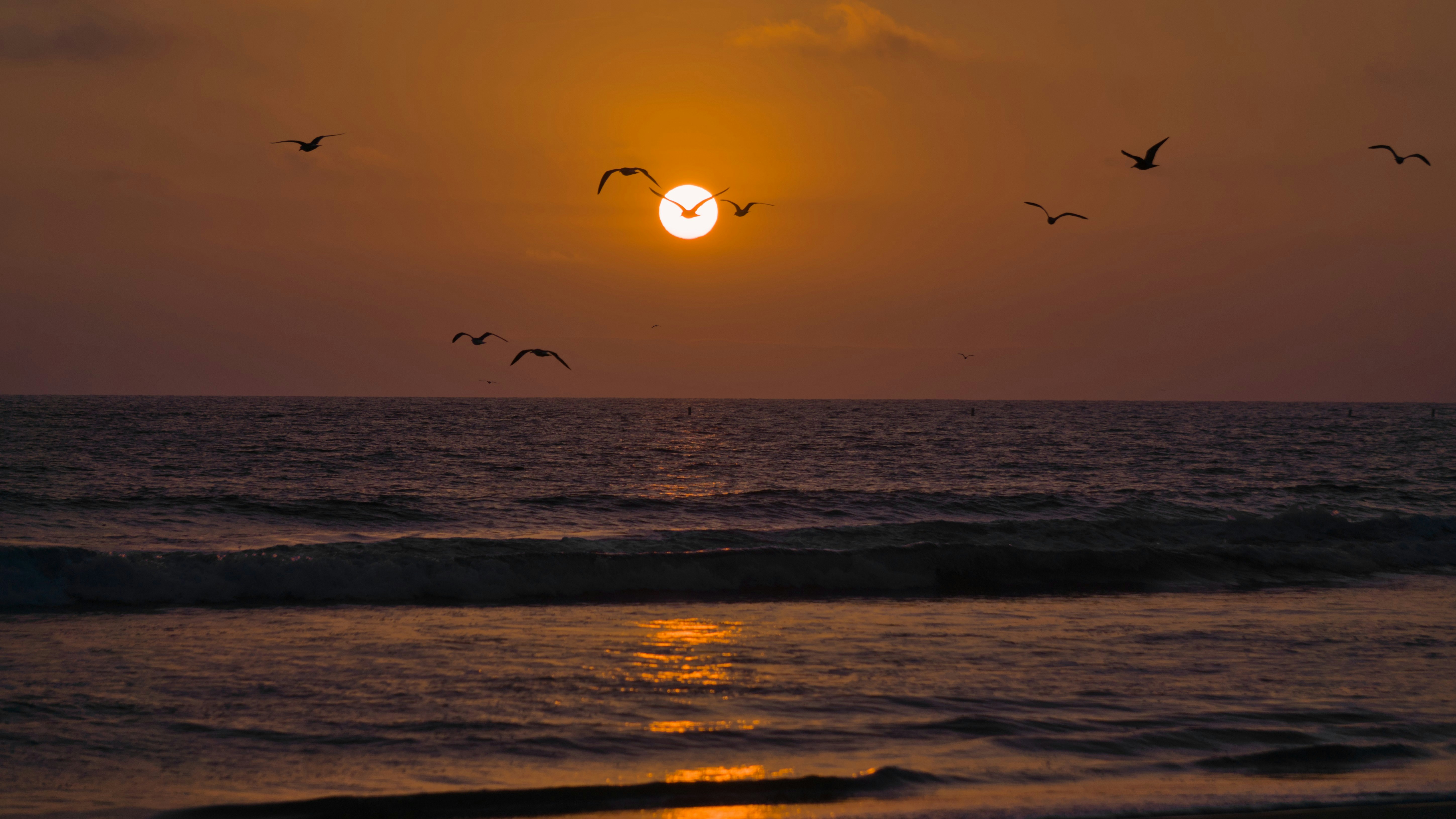 Sunlit Horizon: A Seaside Soirée in Silence