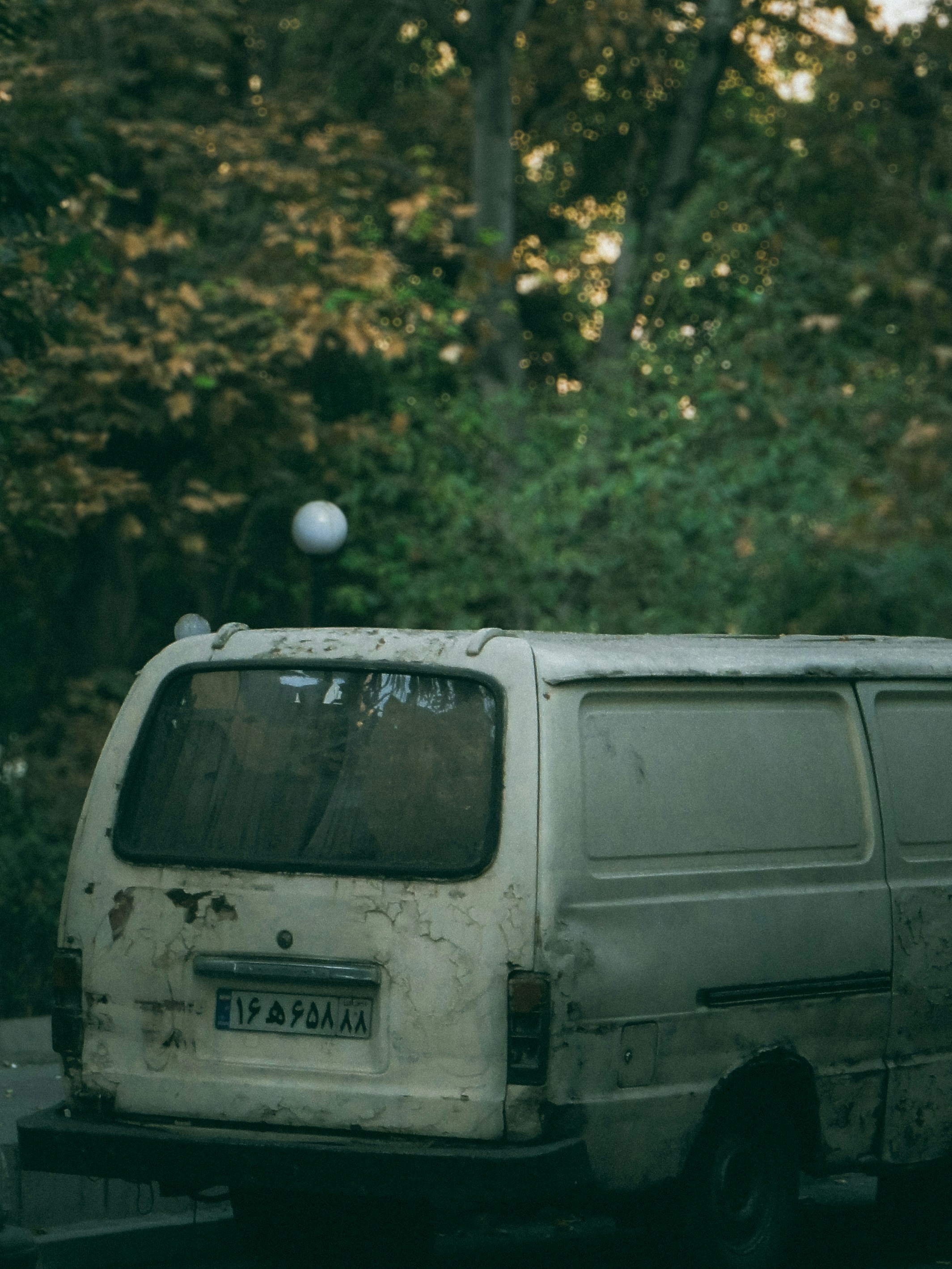 Abandoned van under a forest canopy