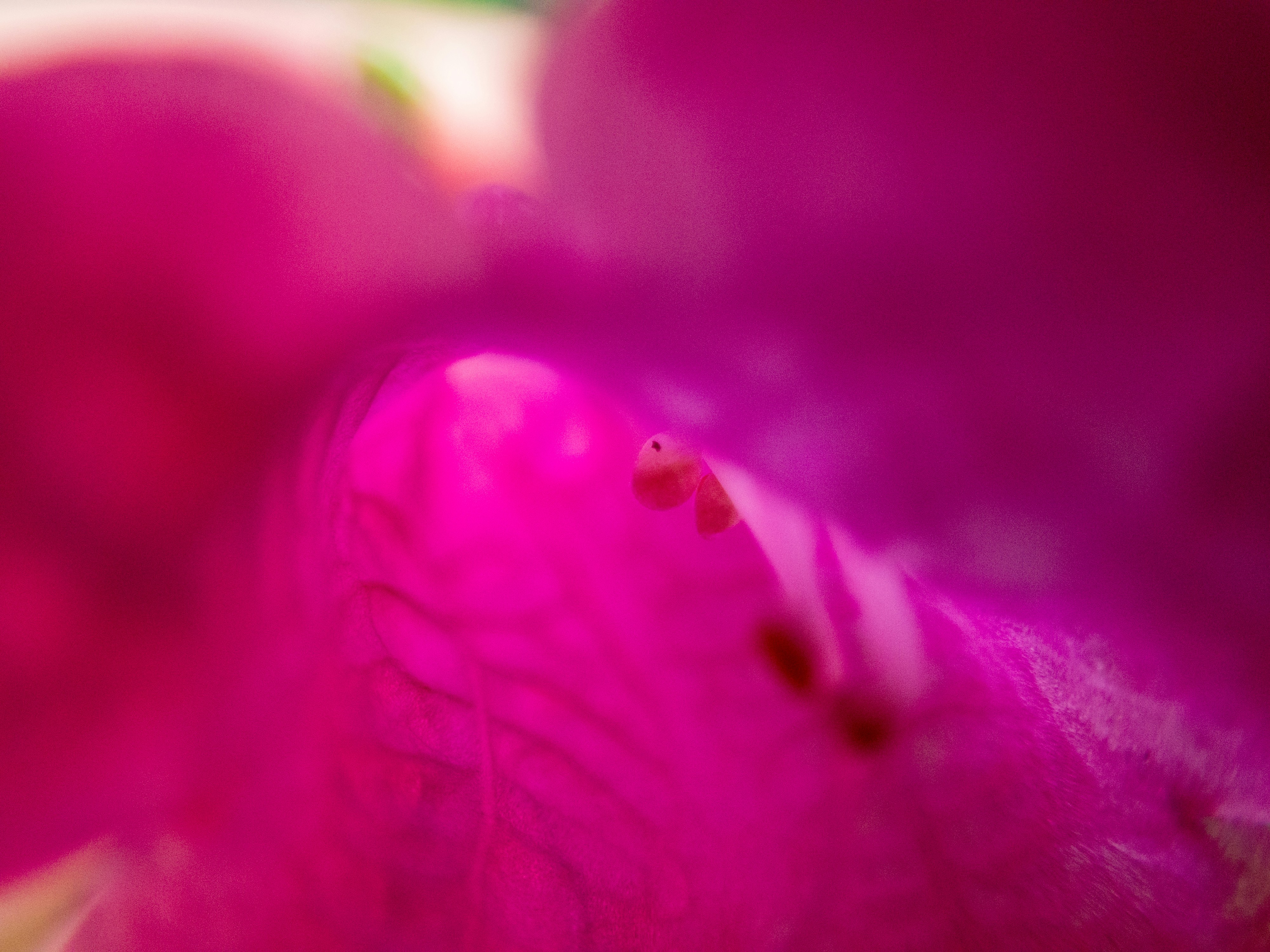 Photo by DL314 Lin with Olympus Tough TG-7