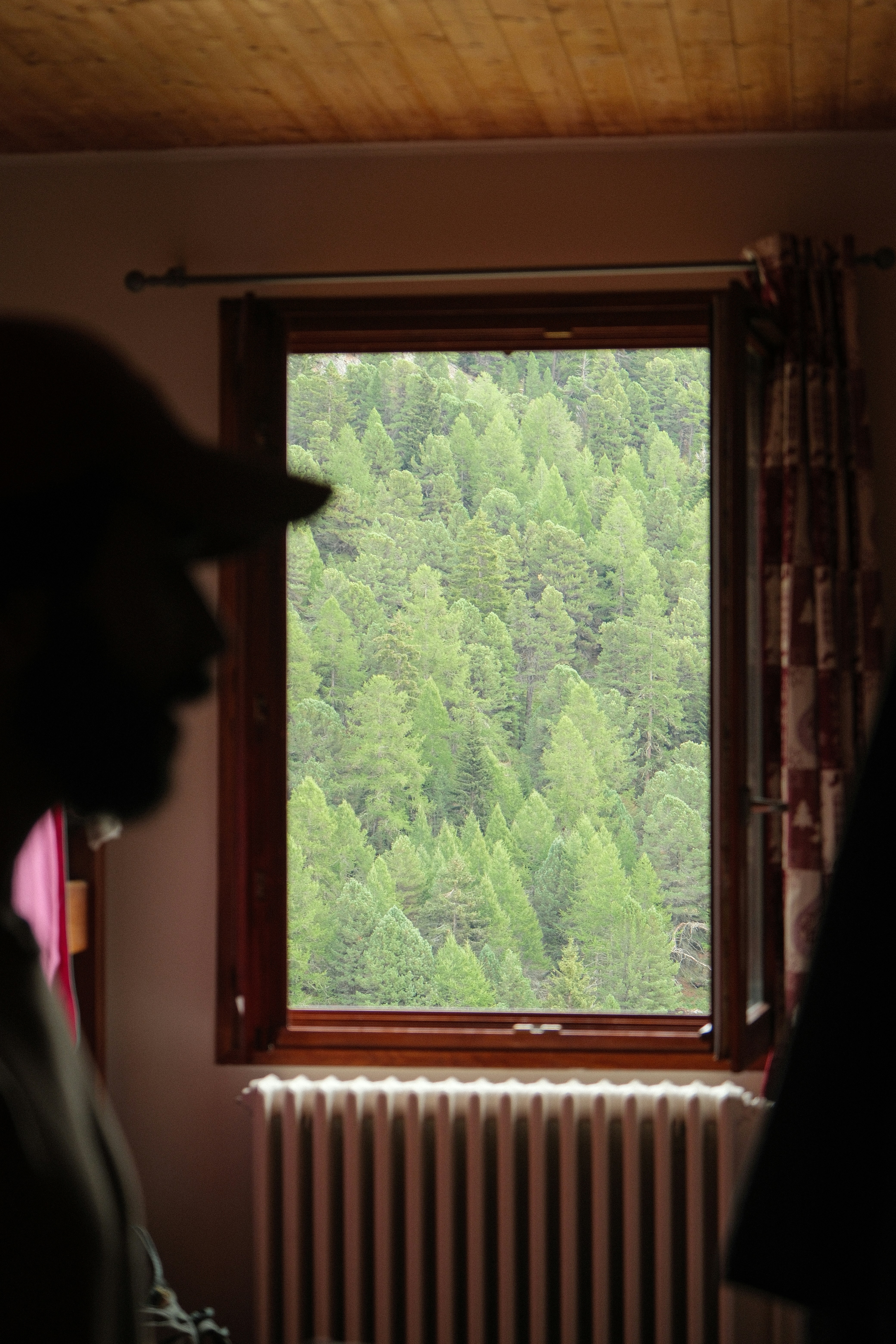 Silhouette at the Window: A Forest View Framed by Curtain and Radiator